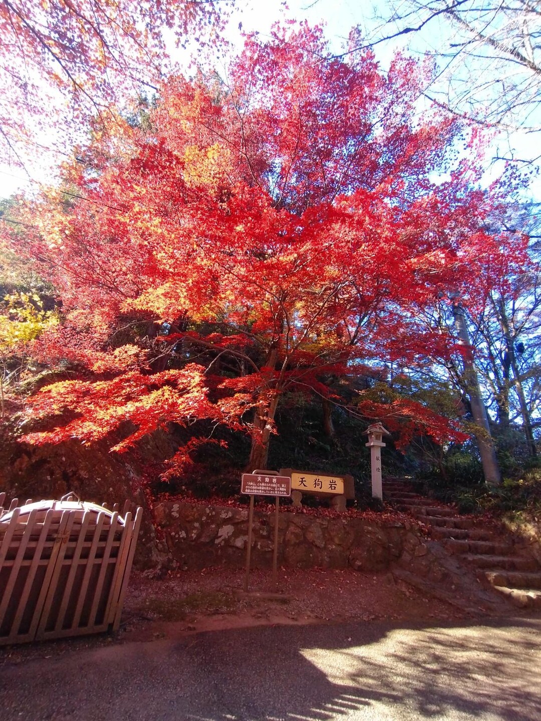 唐沢山 / USSAさんの太平山・晃石山・唐沢山の活動データ | YAMAP / ヤマップ