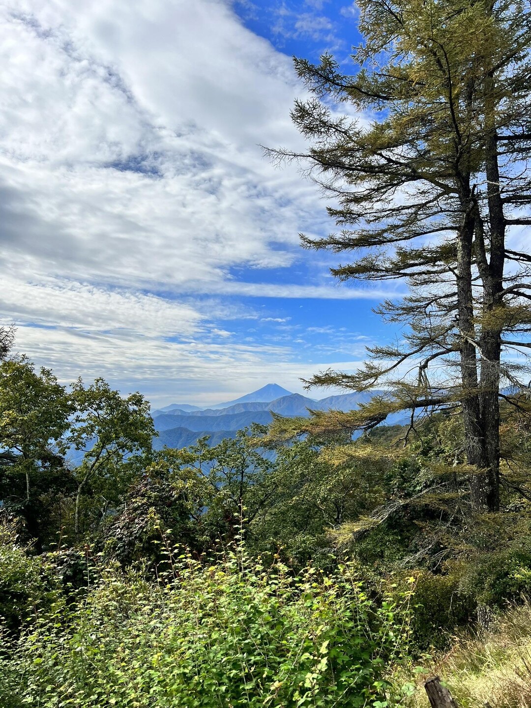 てんぱく 七ツ石山・ヨモギノ頭・小雲取山・雲取山 / chikaさんの雲取山・鷹ノ巣山・七ツ石山の活動データ | YAMAP / ヤマップ