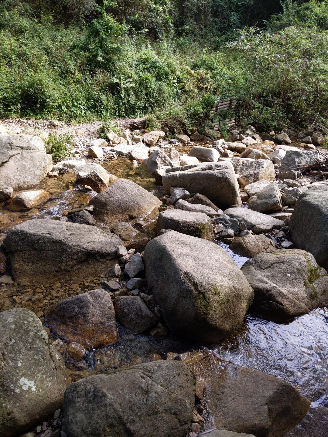 komさんの投稿したフィールドメモ | YAMAP / ヤマップ