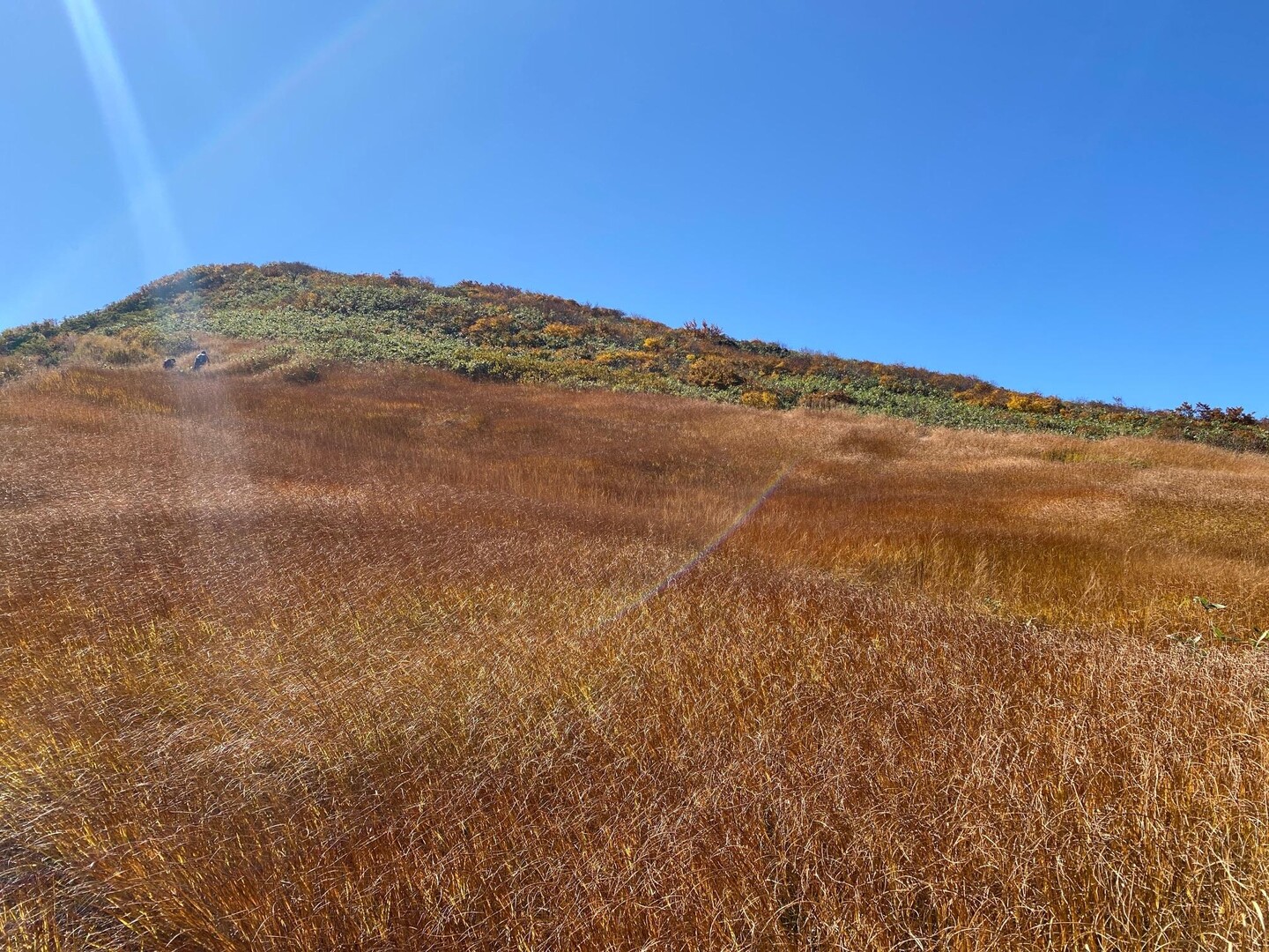 浅草岳日和‼️ 山頂の大草原 / mtakoさんの浅草岳・鬼ヶ面山の活動日記 | YAMAP / ヤマップ