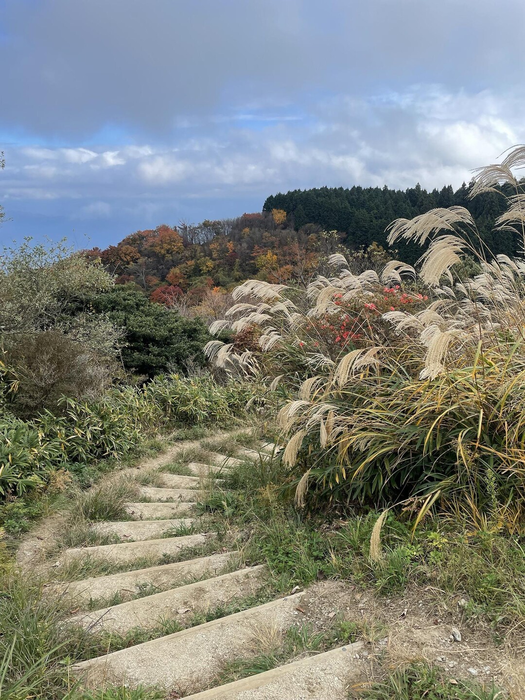 金剛山・葛木岳・大和葛城山 / kikiさんの金剛山・二上山・大和葛城山の活動データ | YAMAP / ヤマップ