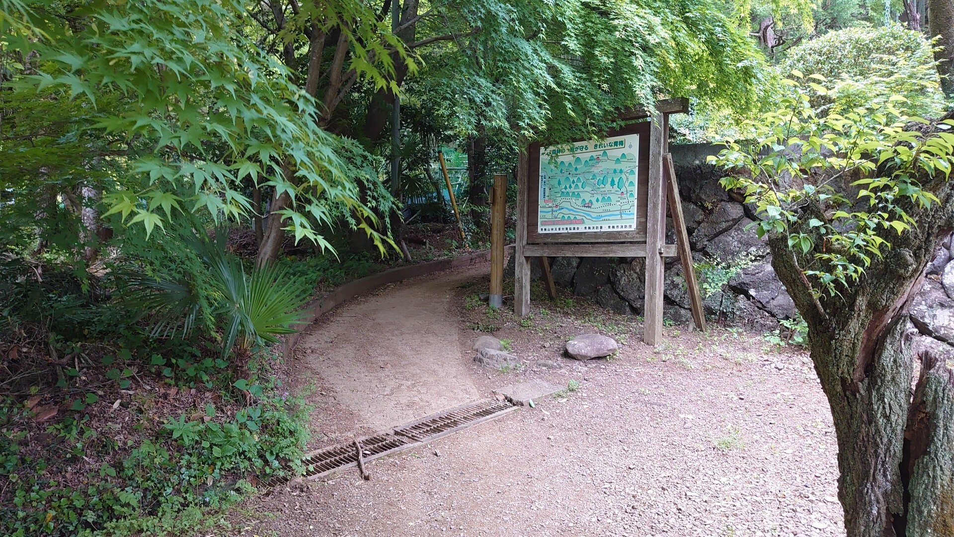 TKYMさんの投稿したフィールドメモ | YAMAP / ヤマップ