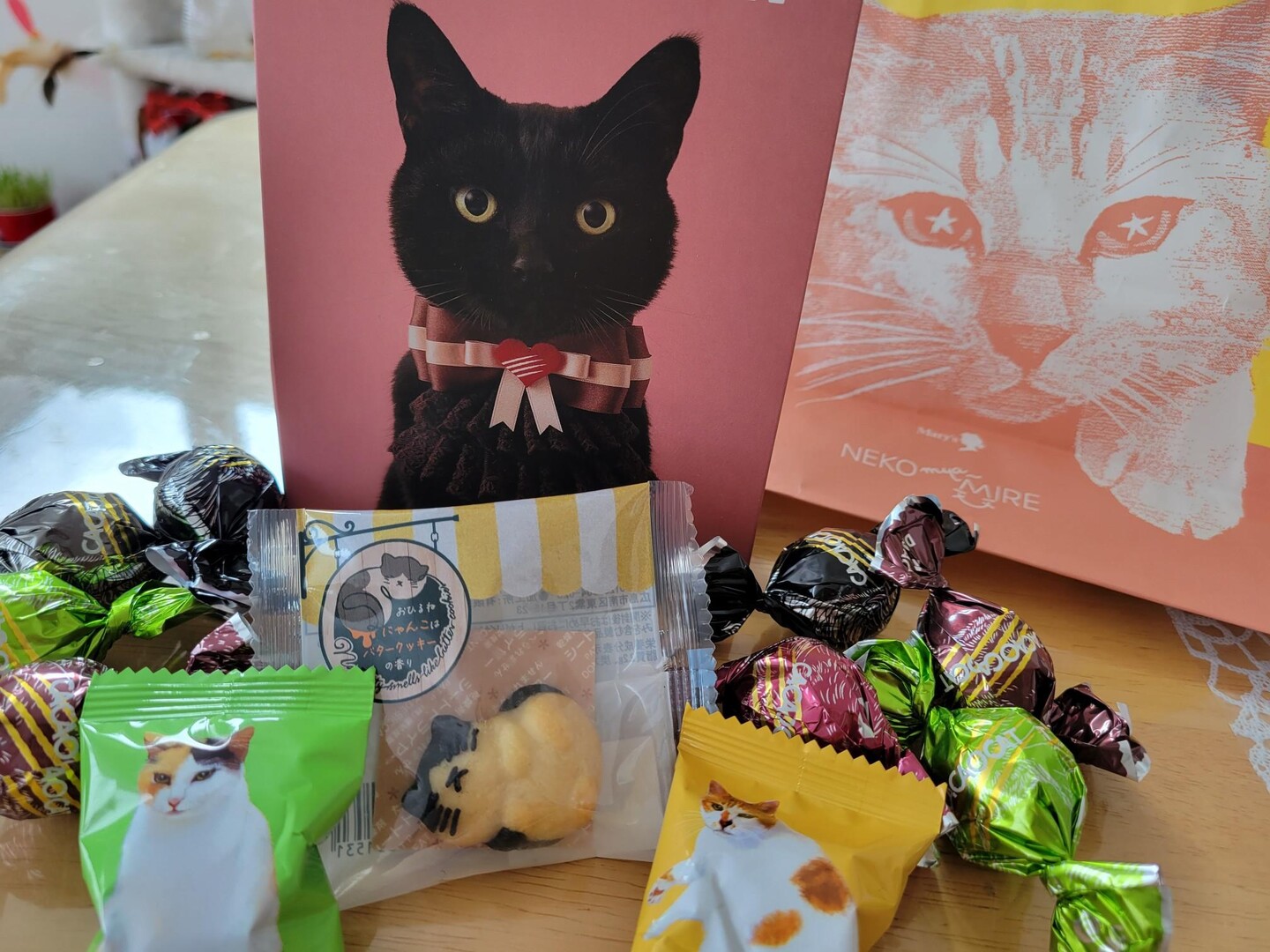 同僚ちゃんからホワイトデー🐈💕 三毛... / ＊ゆずとら＊さんのモーメント | YAMAP / ヤマップ