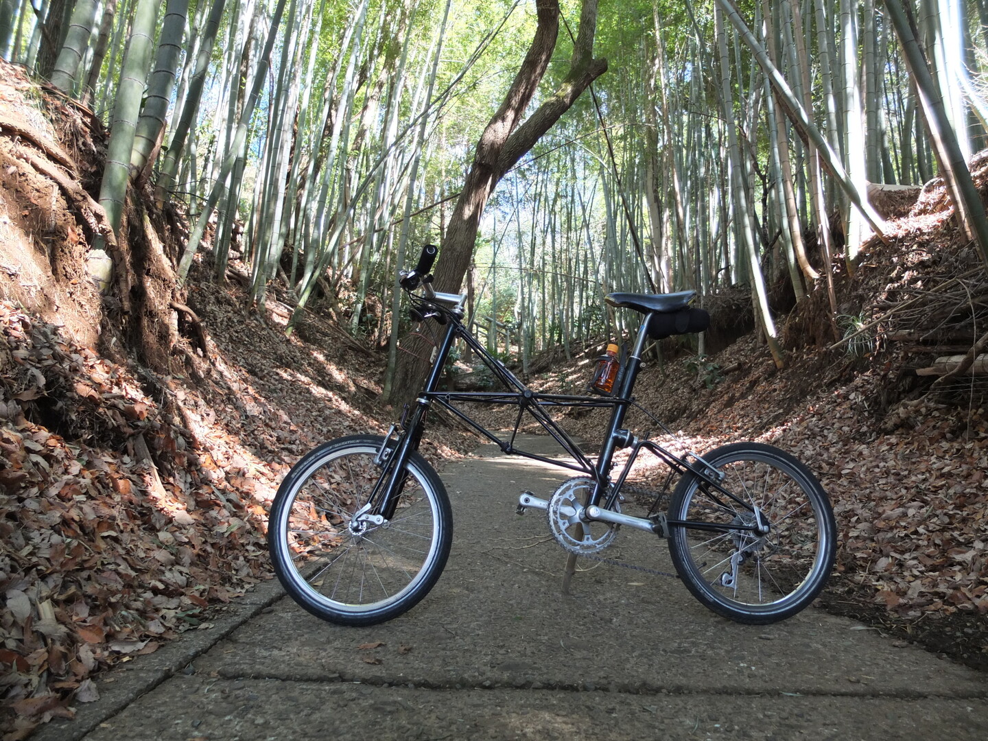 20210216八王子ポタリング（滝山城跡公園・小宮公園・浅川サイクリングロード）28.9㎞ ByAlexMoulton / hayakun ...