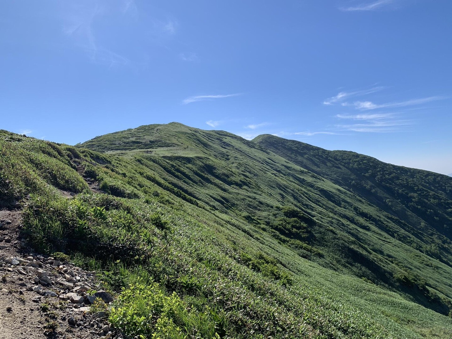 お花🪻🌺🌸🌼🌷を見に…松手山・平標山・前仙ノ倉山・仙ノ倉山 / M_Akkyさんの仙ノ倉山・平標山・大源太山の活動日記 | YAMAP / ヤマップ
