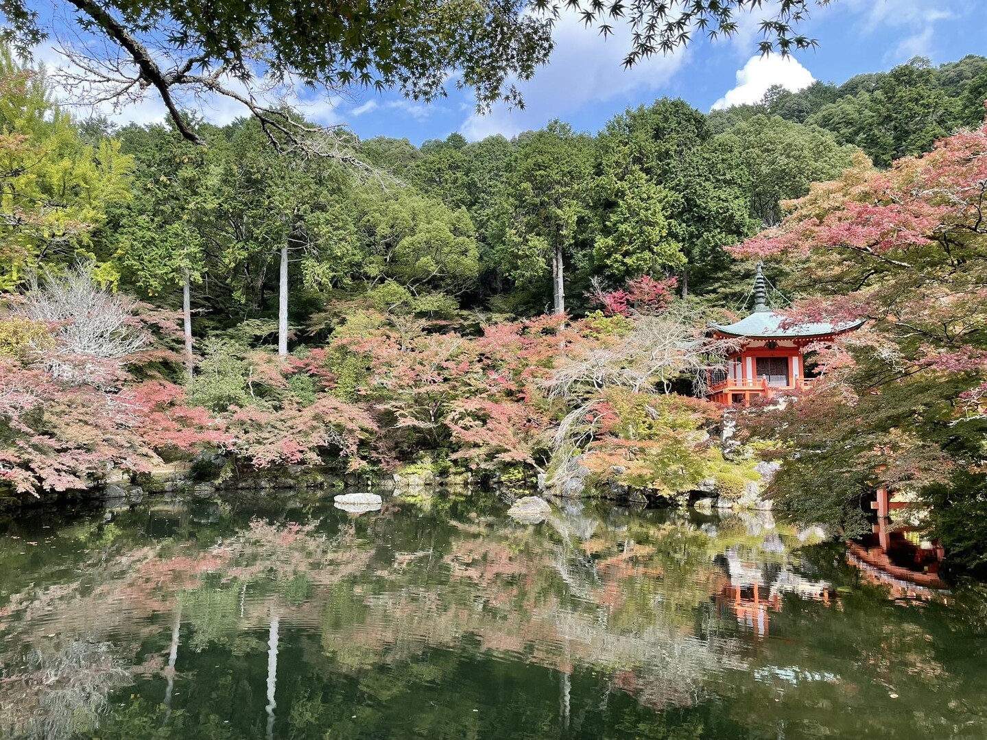 2023.11.24(金) 12:56 / だいさんのモーメント | YAMAP / ヤマップ