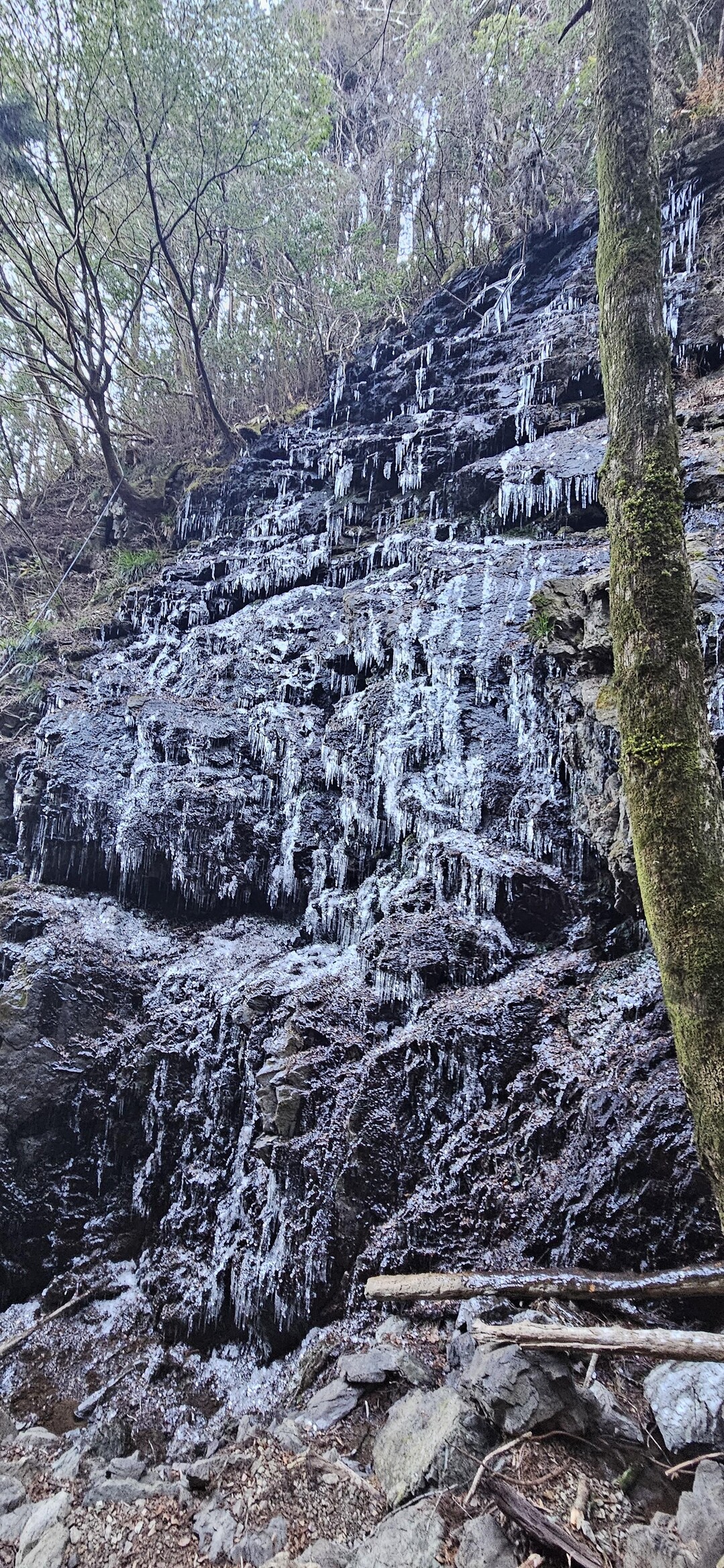 氷爆調査① ️真富士山 / moochi さんの真富士山の活動データ | YAMAP / ヤマップ