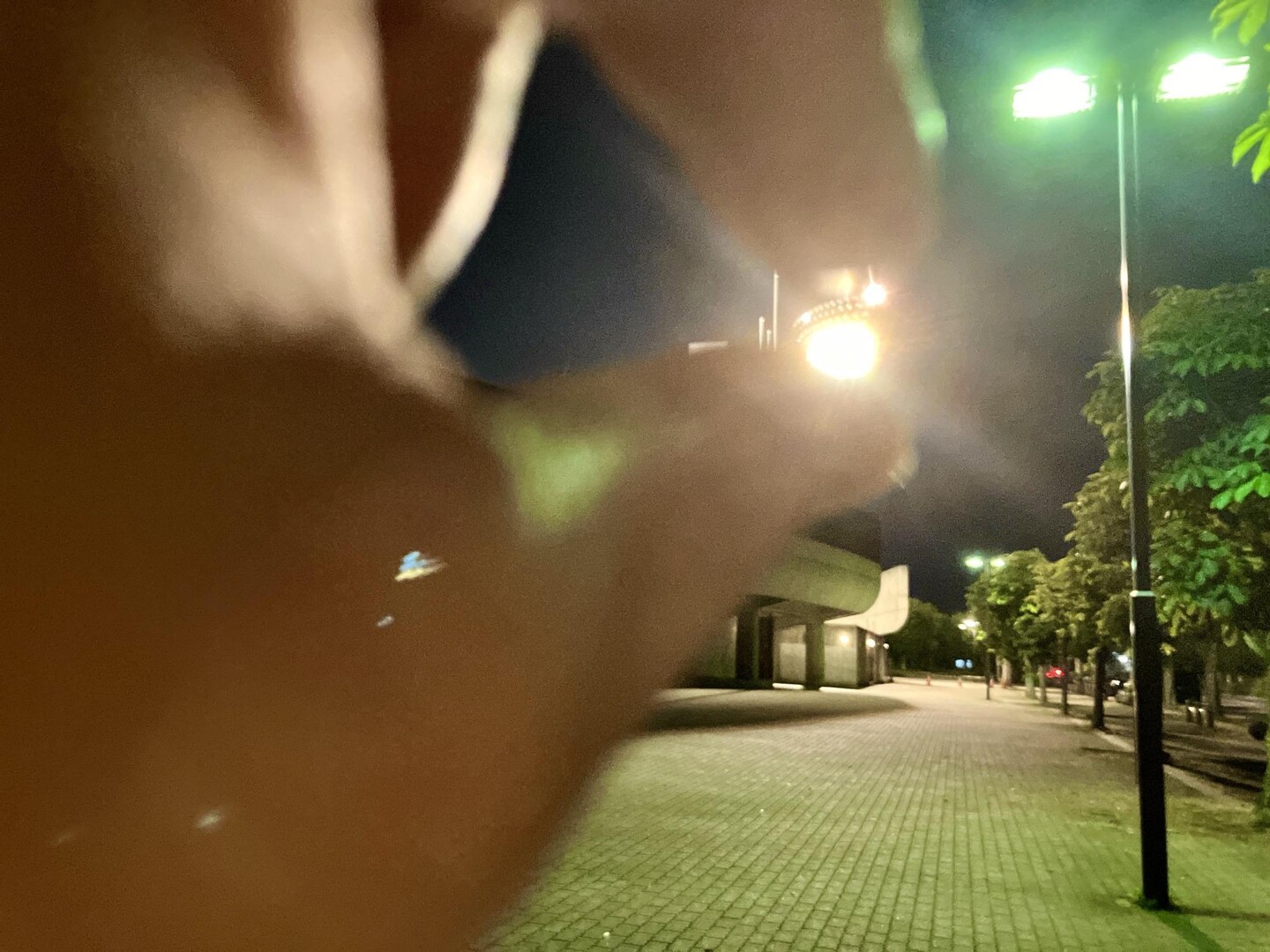 ラントレやってみnight🏃‍♀️ / ともぺぃさんの宇都宮市の活動データ | YAMAP / ヤマップ