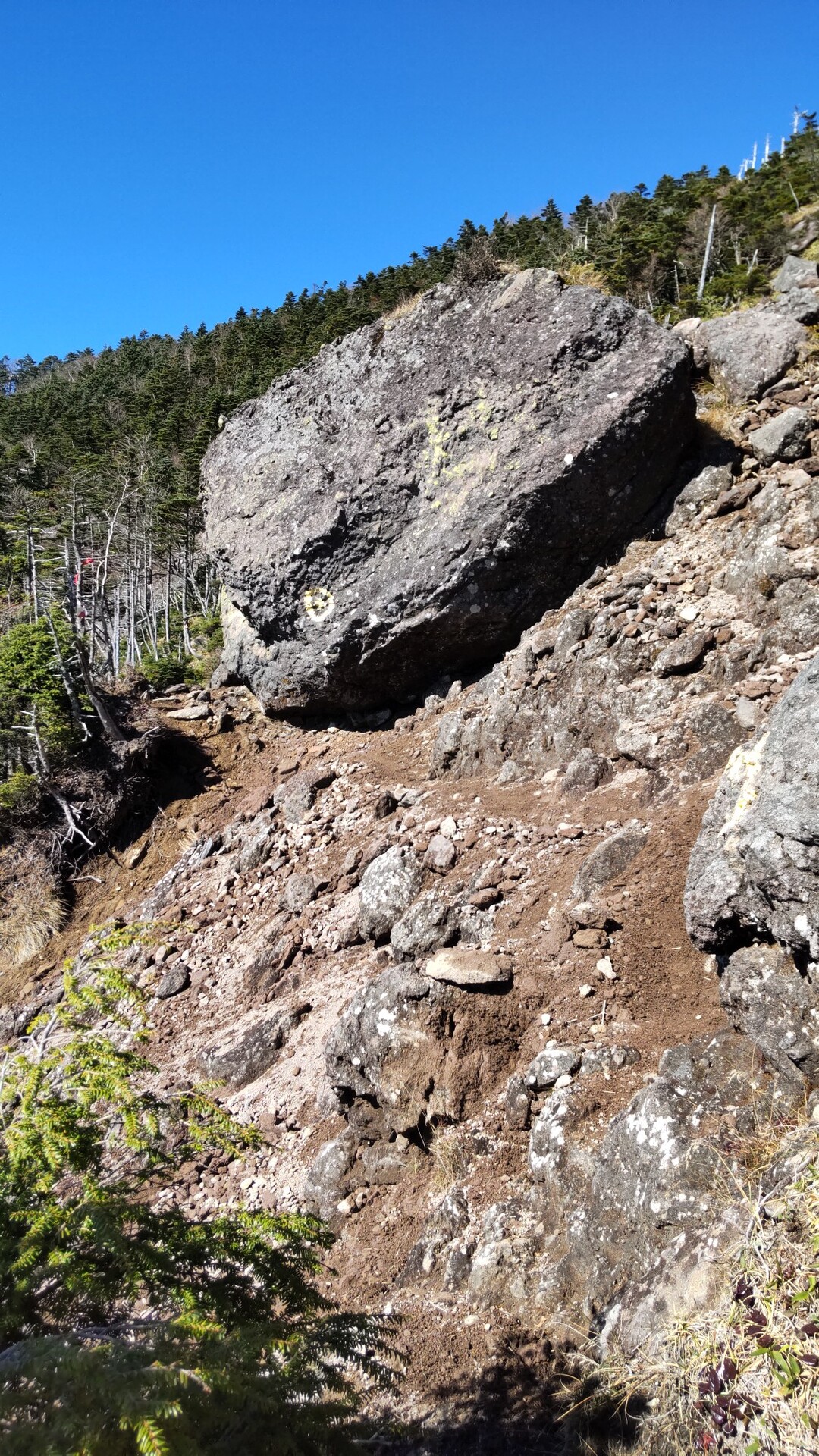 からからさんの投稿したフィールドメモ | YAMAP / ヤマップ