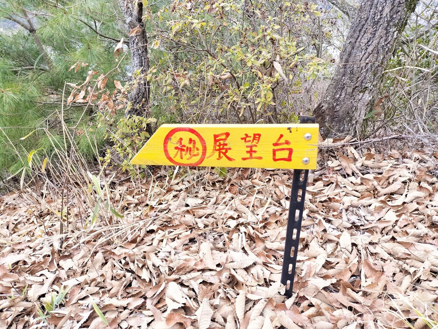 寝坊した〜💦 / おでんのちくわさんの高御位山・播磨アルプスの活動データ | YAMAP / ヤマップ