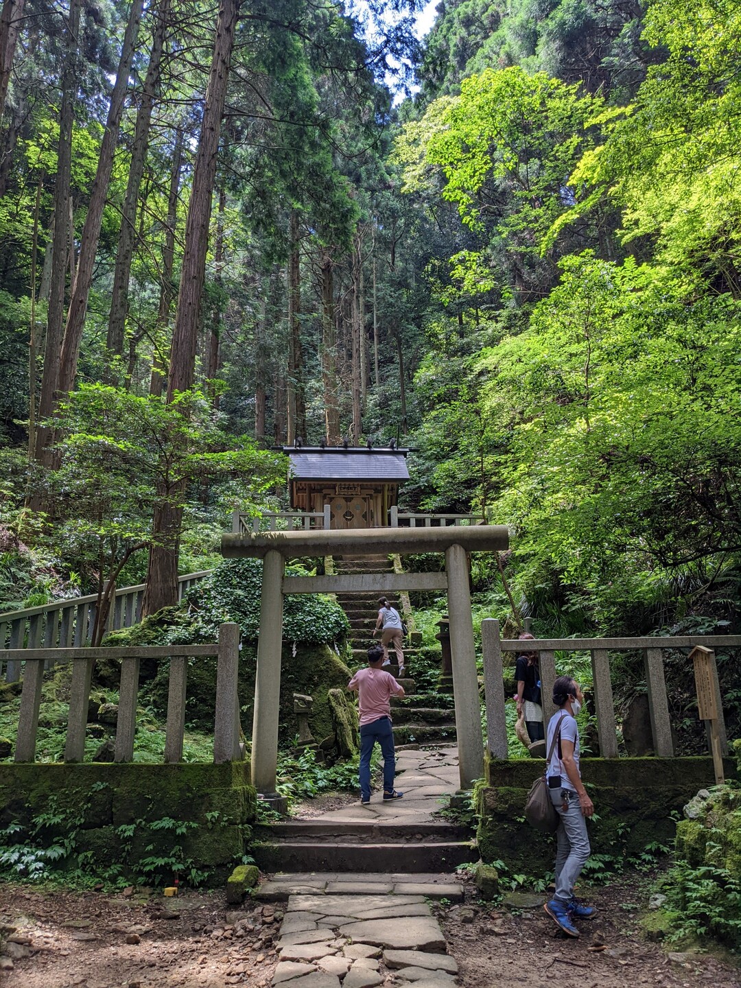 tkhsさんの投稿したフィールドメモ | YAMAP / ヤマップ