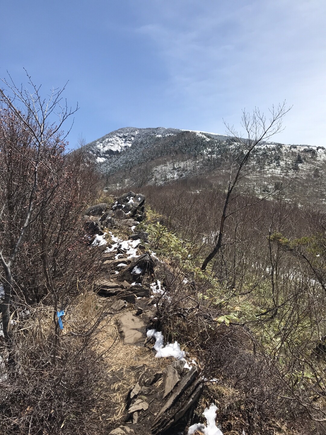 泥濘みの四阿山と優しいネコ岳 / TOK_KENさんさんの四阿山・根子岳の活動データ | YAMAP / ヤマップ