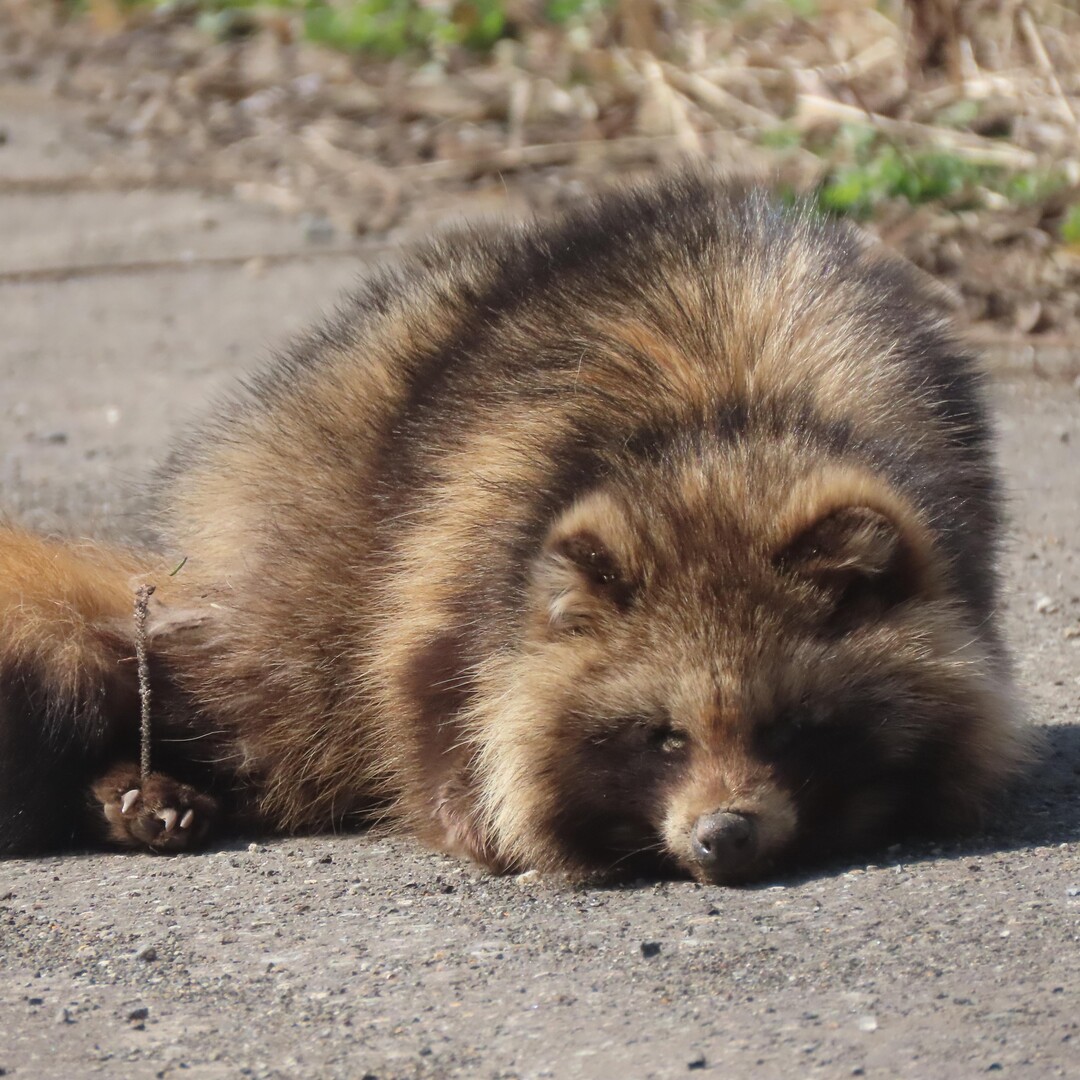 rukamakiのページ | YAMAP / ヤマップ
