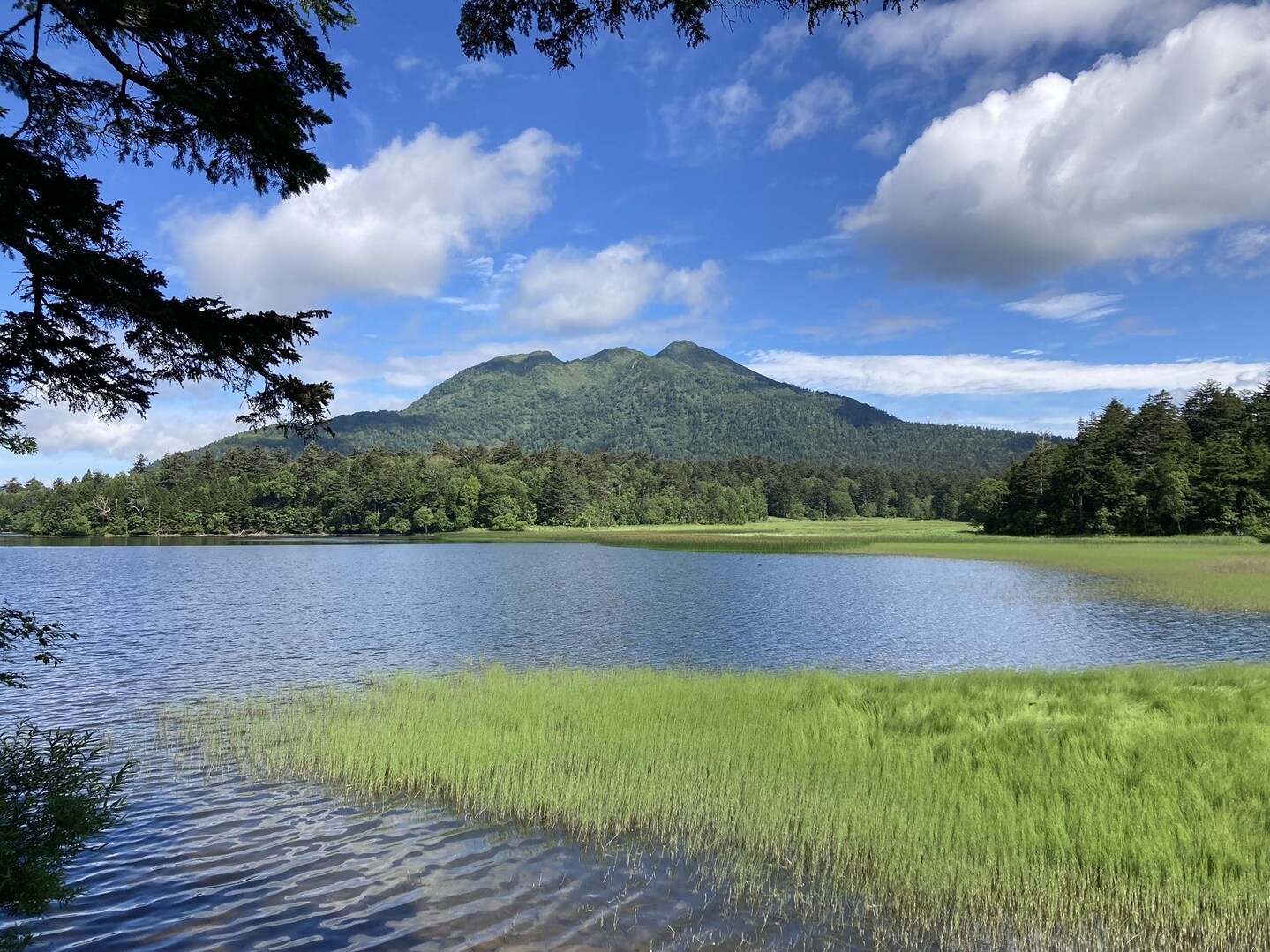 尾瀬沼 夏 / ak,snowさんの尾瀬・燧ヶ岳の活動データ | YAMAP / ヤマップ