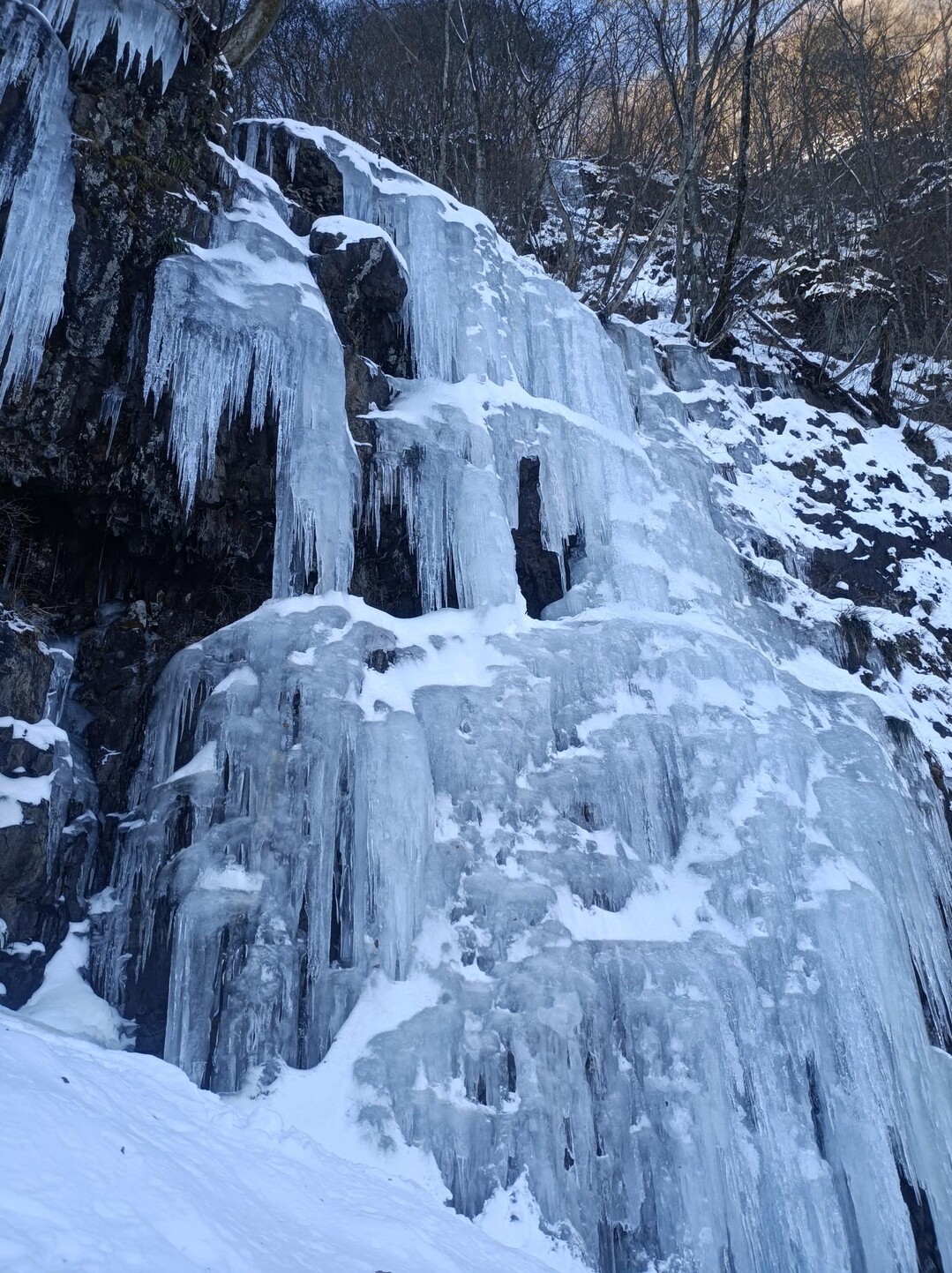 テーブルマウンテンは、モフモフ風無しの荒船山（経塚山） / ほしがらすさんの荒船山・物語山・大屋山の活動データ | YAMAP / ヤマップ