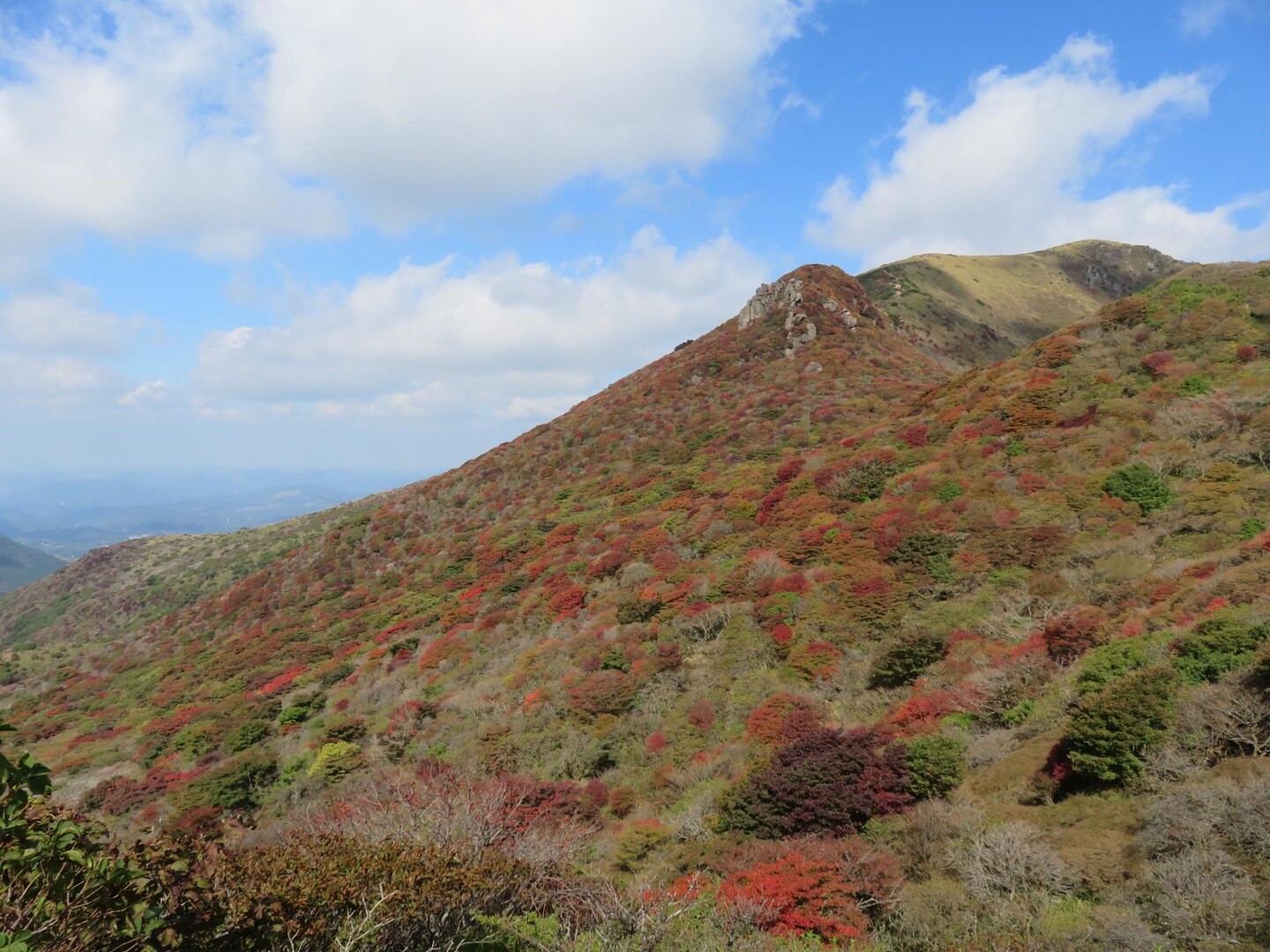 2023紅葉狩りPart1🍁沓掛山・久住山🥾 / tomoさんの九重山（久住山）・大船山・星生山の活動データ | YAMAP / ヤマップ