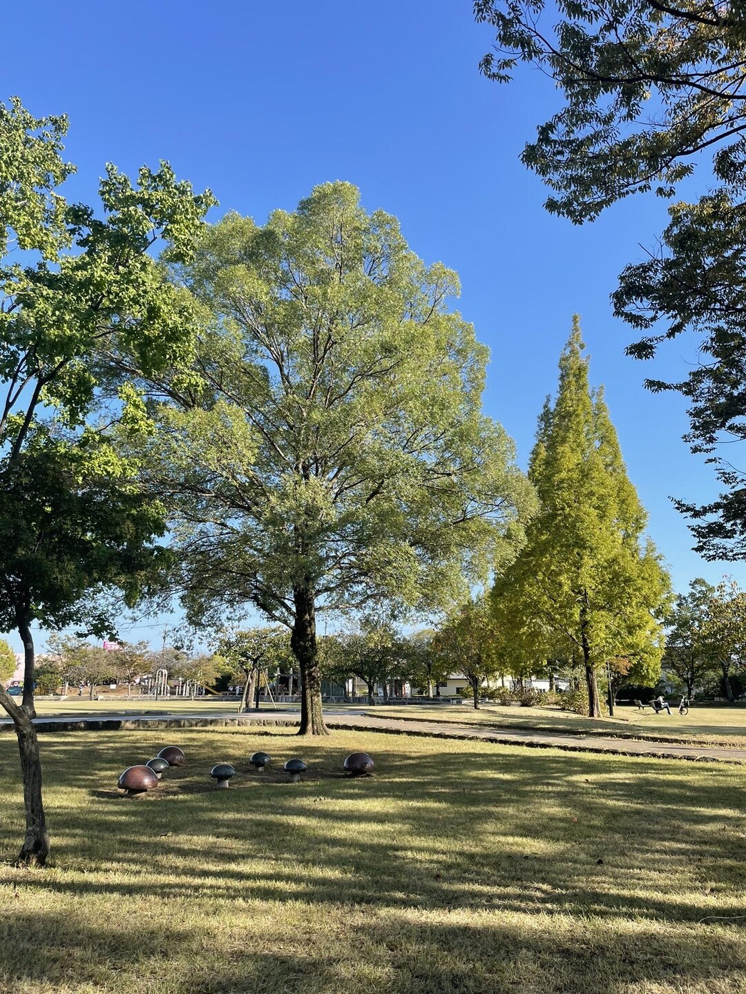 熊本平成さくら公園 / wa_koさんのモーメント | YAMAP / ヤマップ