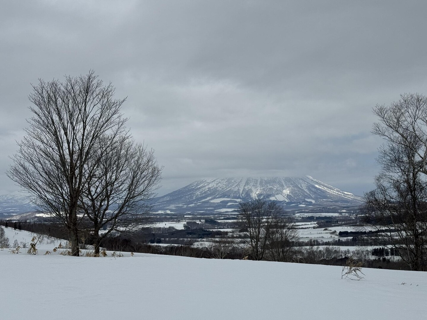 本貫気別山 / shinshinさんの尻別岳の活動データ | YAMAP / ヤマップ