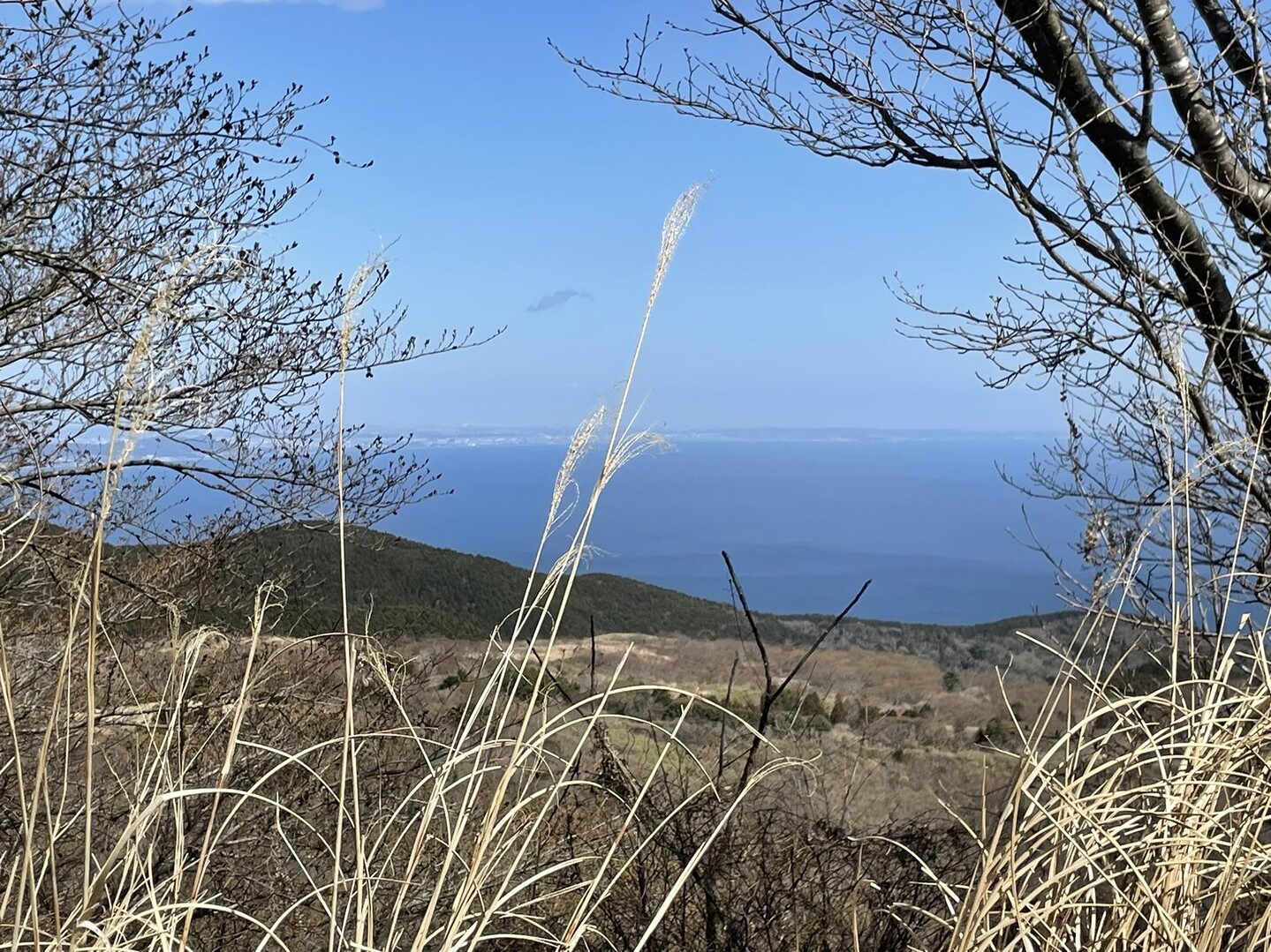 幕山・南郷山 / s06007さんの幕山・南郷山の活動データ | YAMAP / ヤマップ