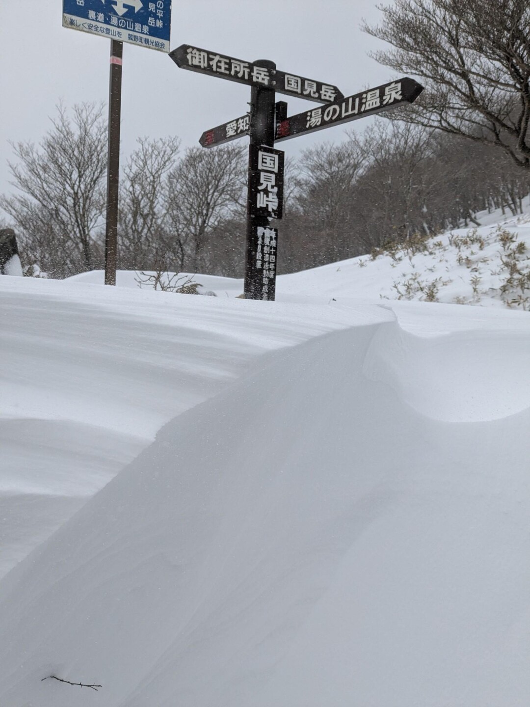 今日は甘くなかった😫雪の御在所岳 / kazuoonさんの御在所岳（御在所山）・雨乞岳の活動データ | YAMAP / ヤマップ
