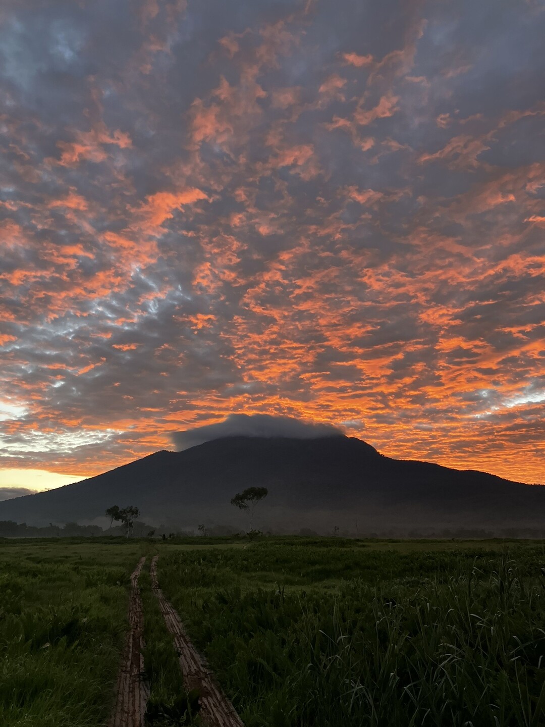 燃える🔥燧ヶ岳と🌸の至仏山〜尾瀬縦断 / tatさんの尾瀬・燧ヶ岳の活動データ | YAMAP / ヤマップ
