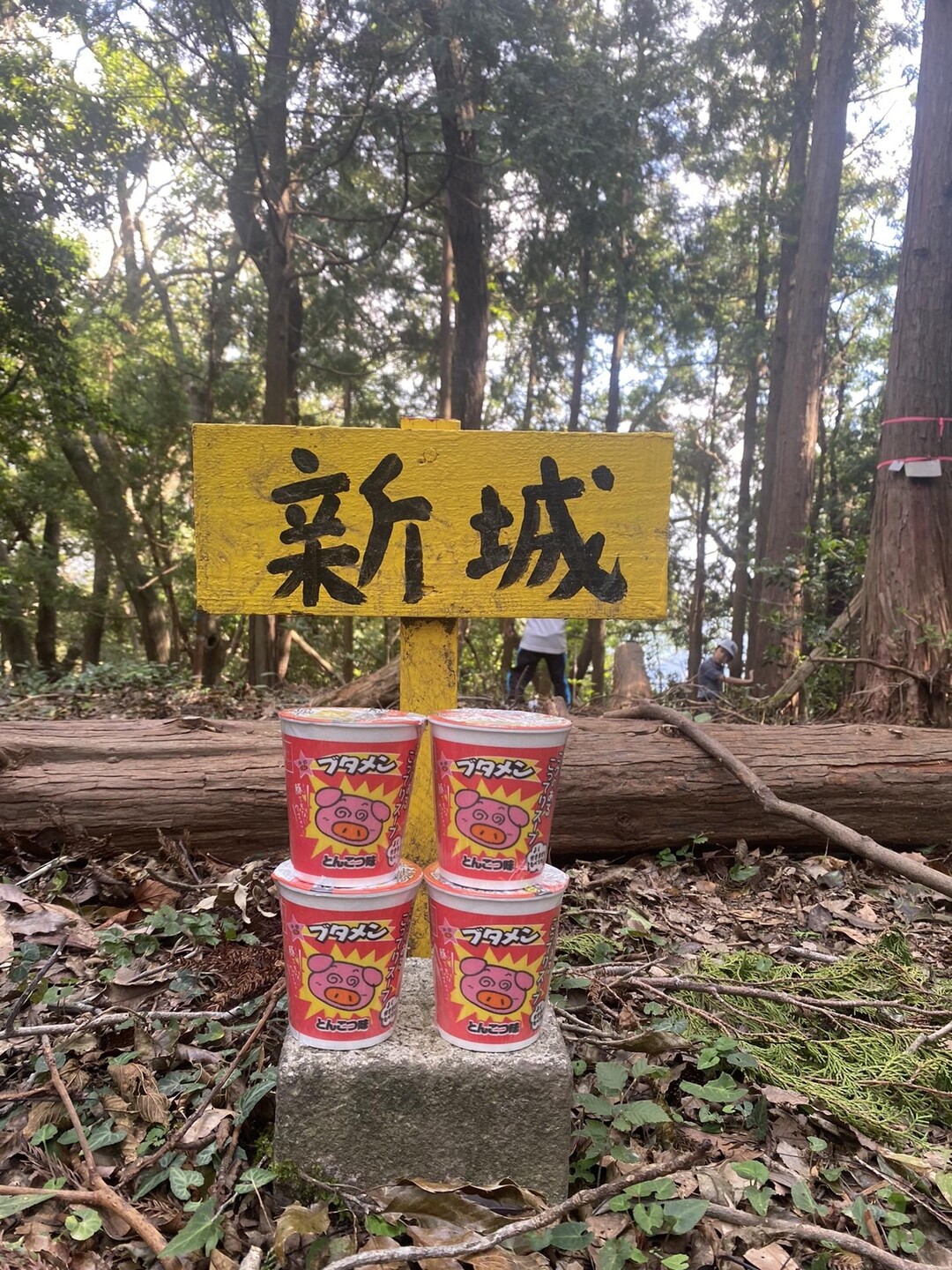 ⭐︎香春10山チャレンジ ⭐︎茶臼山・新城・金満山 / PK🍑さんの福智山・尺岳・雲取山の活動日記 | YAMAP / ヤマップ