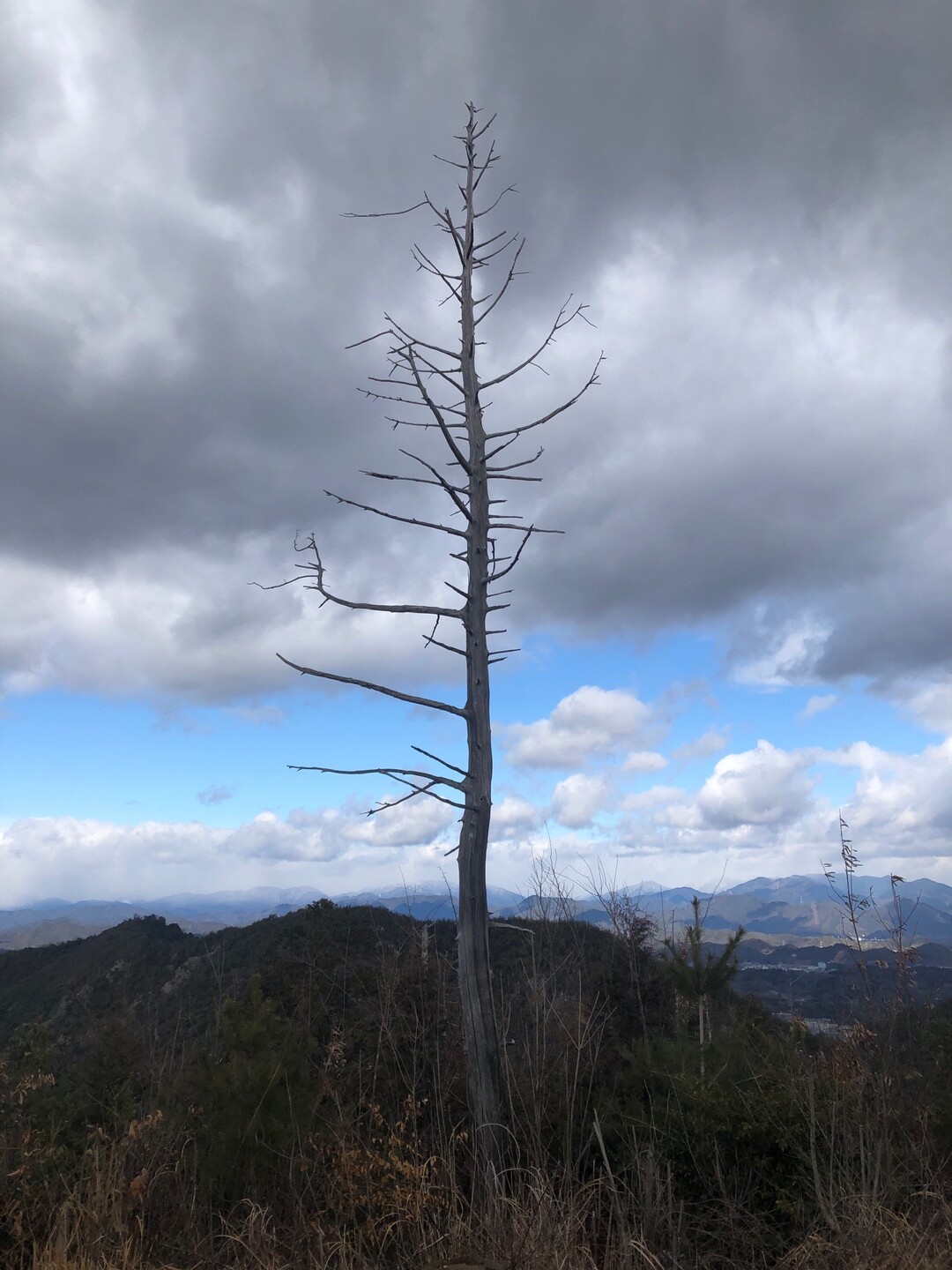ヤマップ初めて1年😊 30000m登れ... / ei._.chanさんのモーメント | YAMAP / ヤマップ