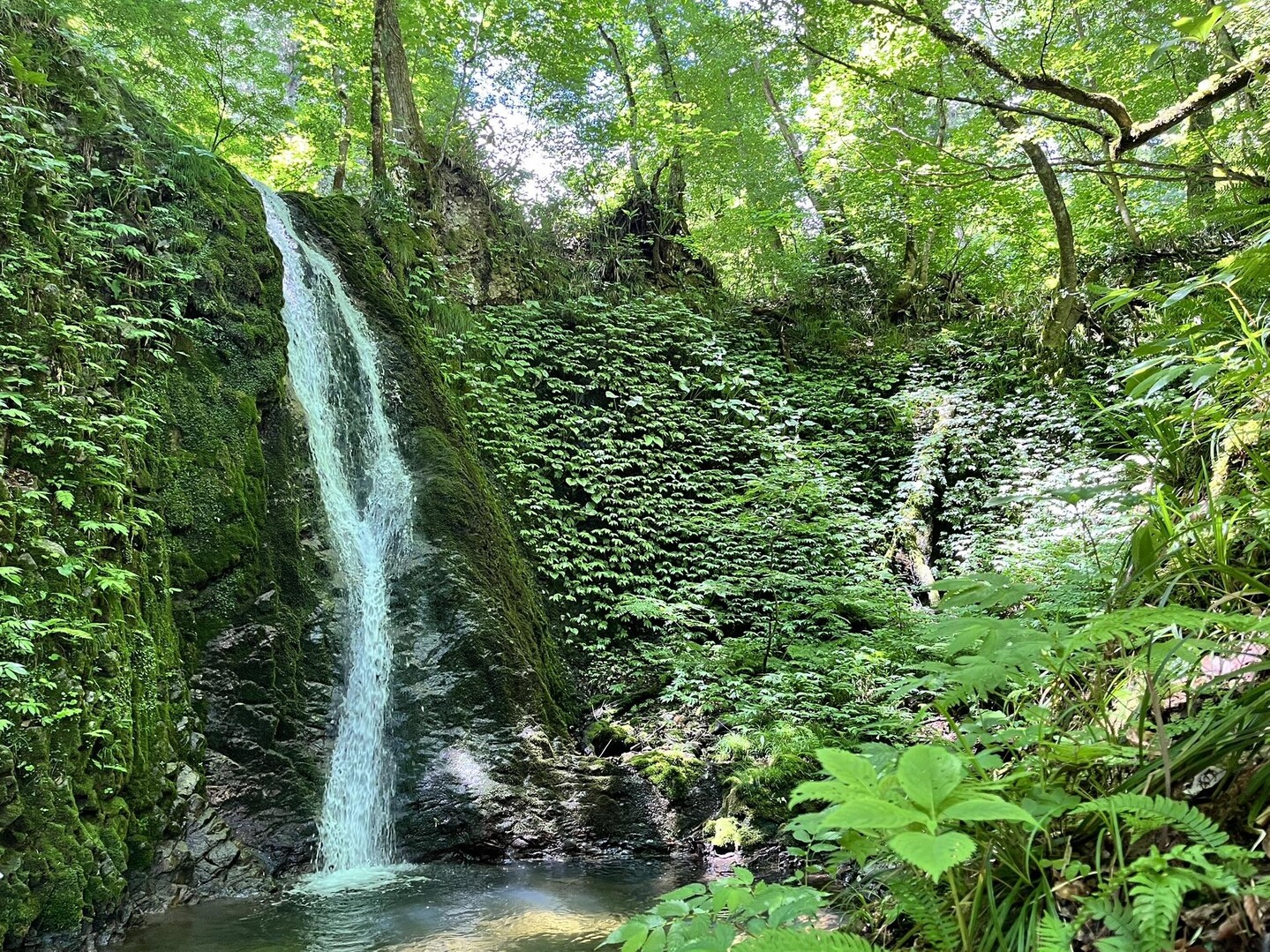 西会津町大山祇神社 / HTさんの西会津町の活動データ | YAMAP / ヤマップ