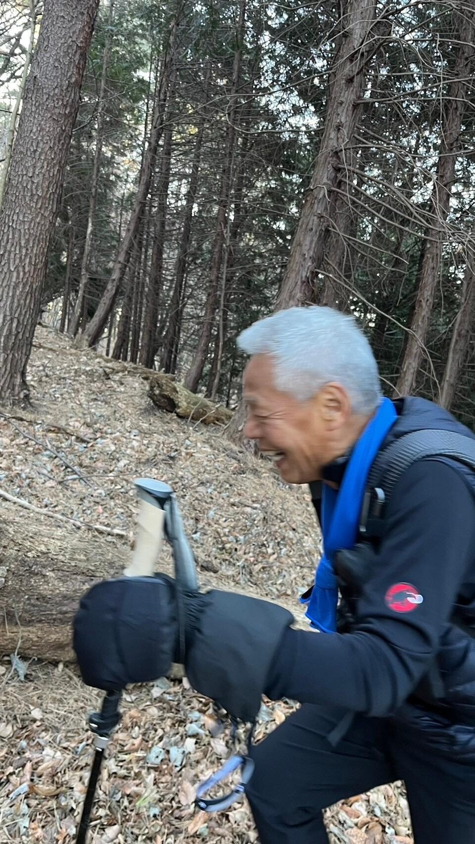 勿体ない晴れ間☀️萓野山⛰️ / ｺﾖｩﾃ(coyote)さんの鳴神山・吾妻山の活動データ | YAMAP / ヤマップ