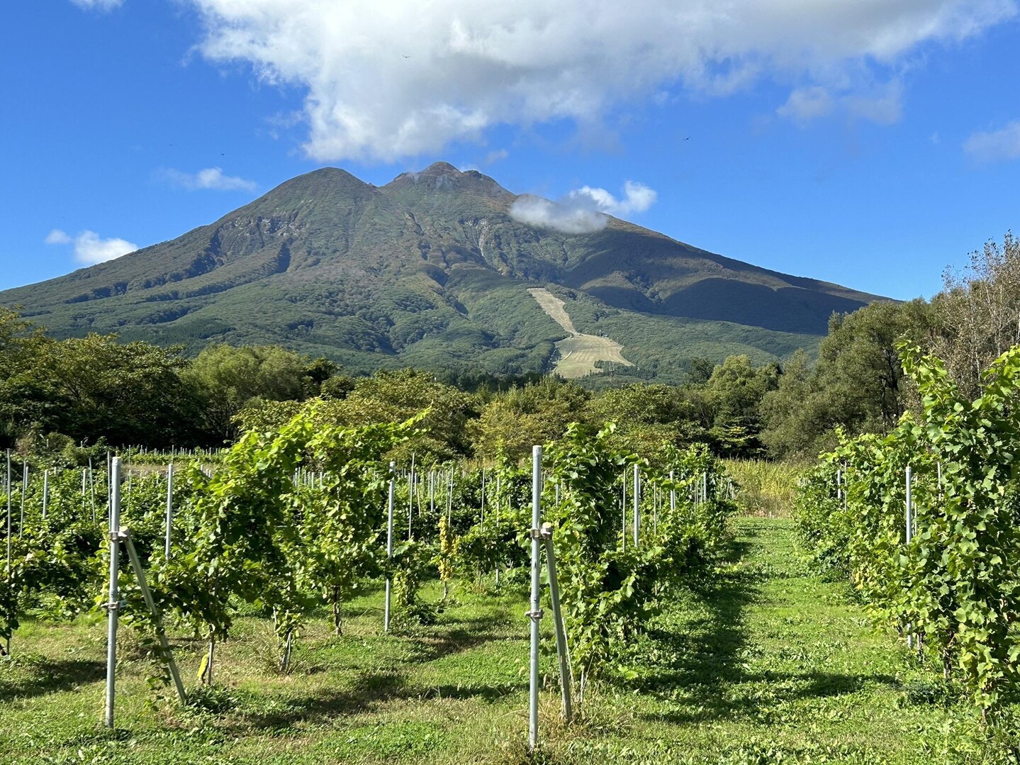 岩木山（百沢ルート） / kaizaさんの岩木山（岩鬼山）・鳥海山・鍋森山の活動データ | YAMAP / ヤマップ