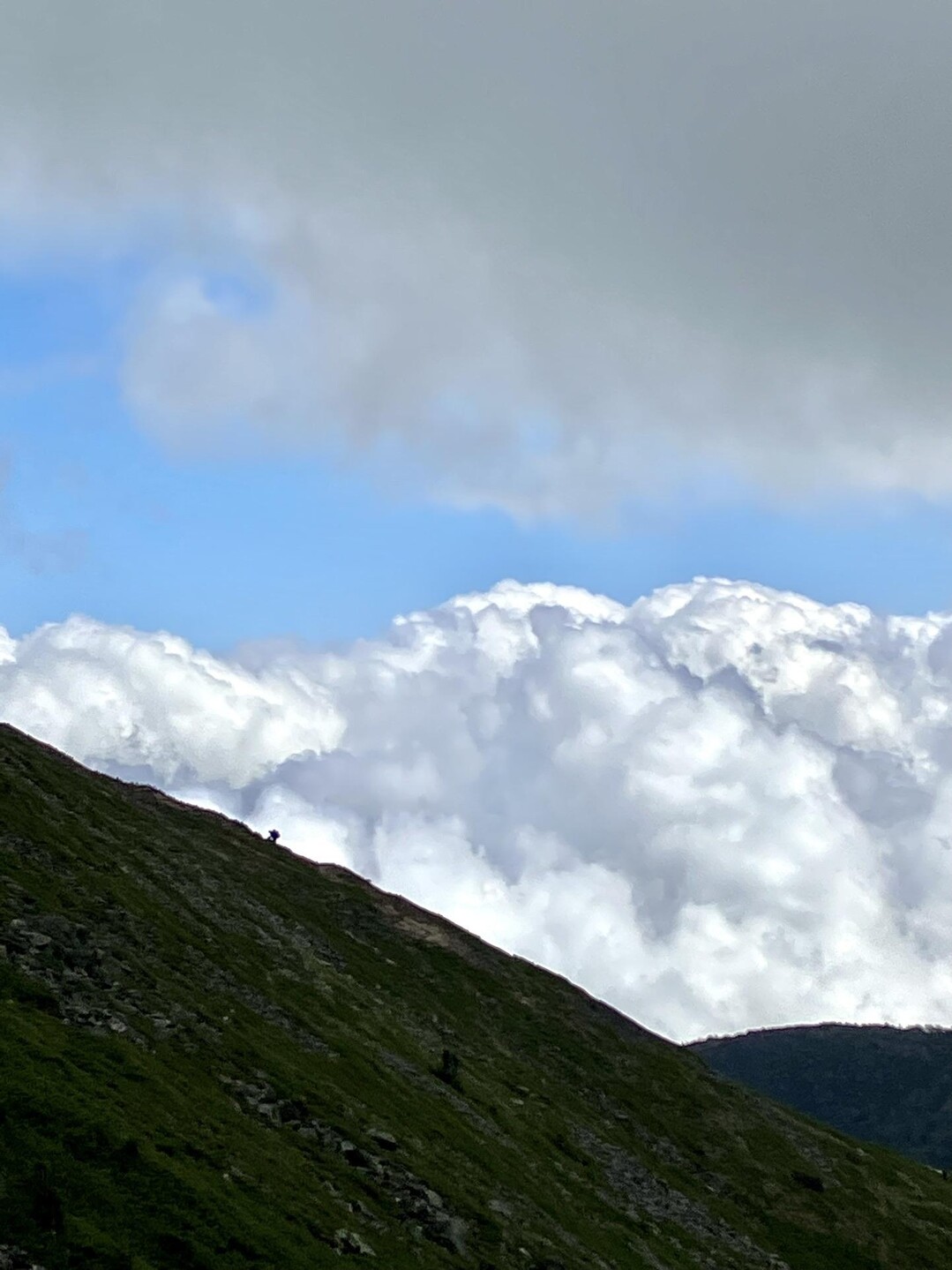 ニュウ・東天狗岳・根石岳・西天狗岳・中山 / tykmktさんの八ヶ岳（赤岳・硫黄岳・天狗岳）の活動データ | YAMAP / ヤマップ