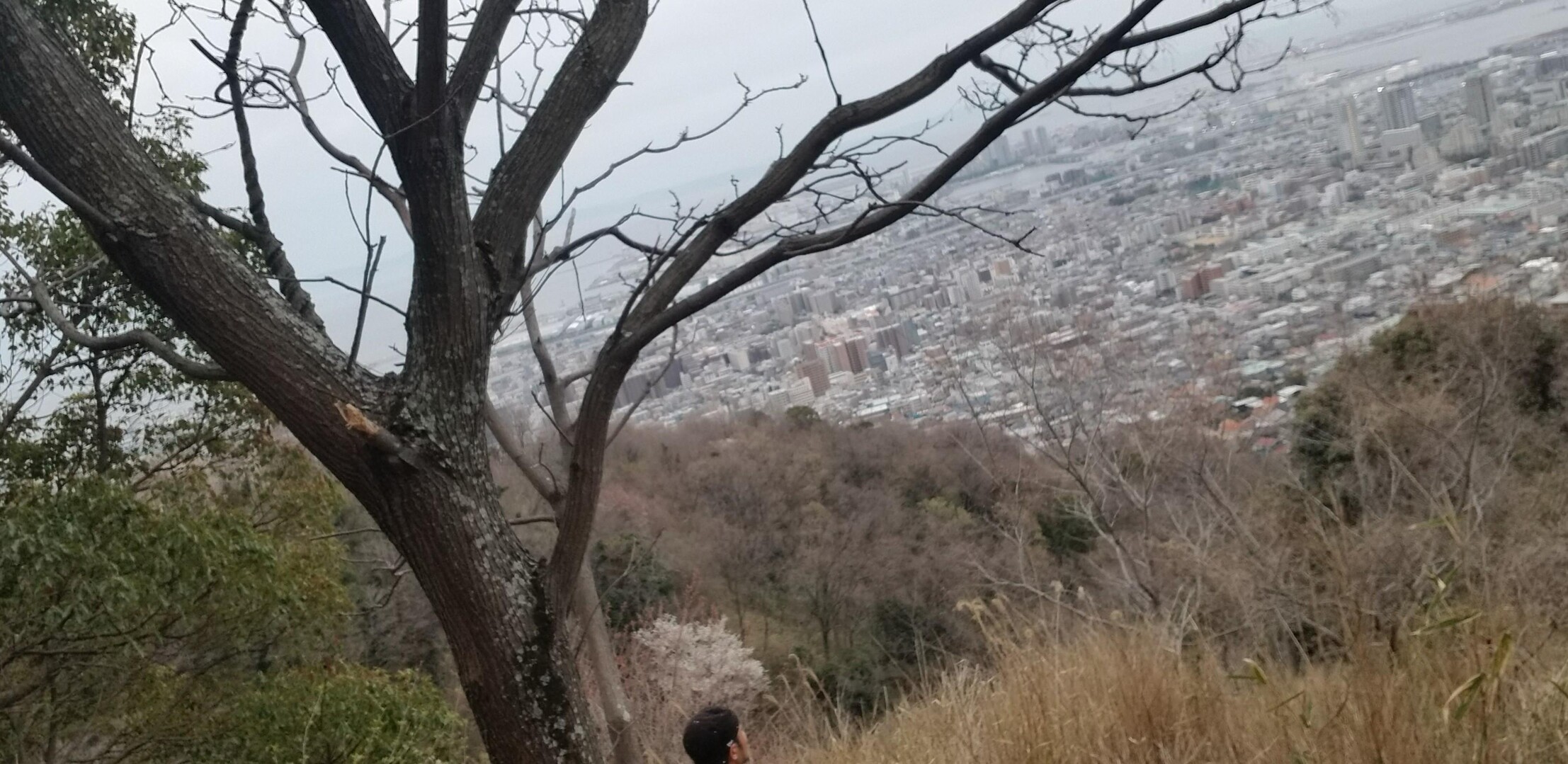 瀬戸内トレイル《金鳥山》兵庫遠征 / Katsujiさんの六甲山・長峰山・摩耶山の活動データ | YAMAP / ヤマップ