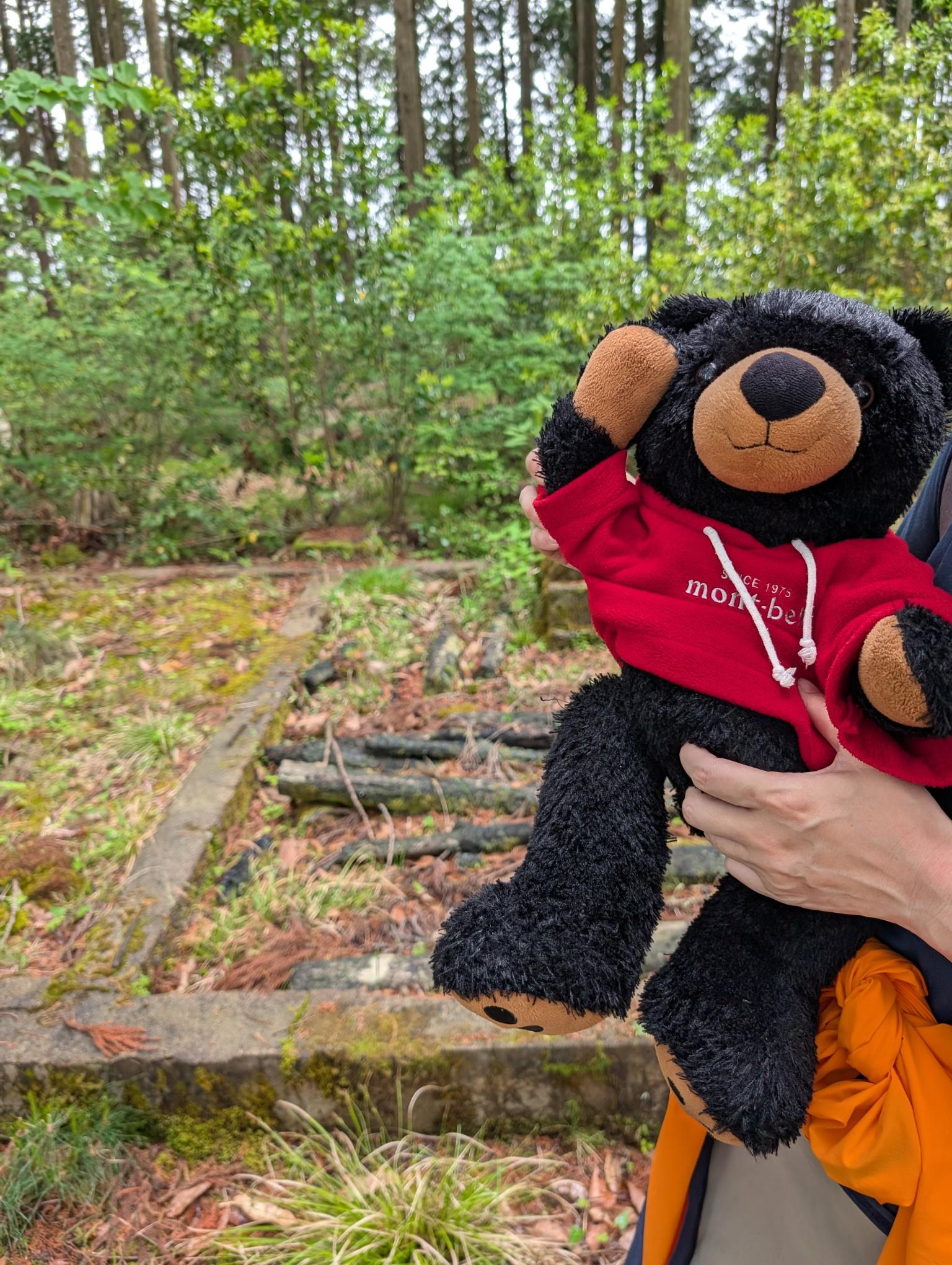 深山・掃雲峰-2025-05-10 / mioさんの深山・掃雲峰の活動データ | YAMAP / ヤマップ