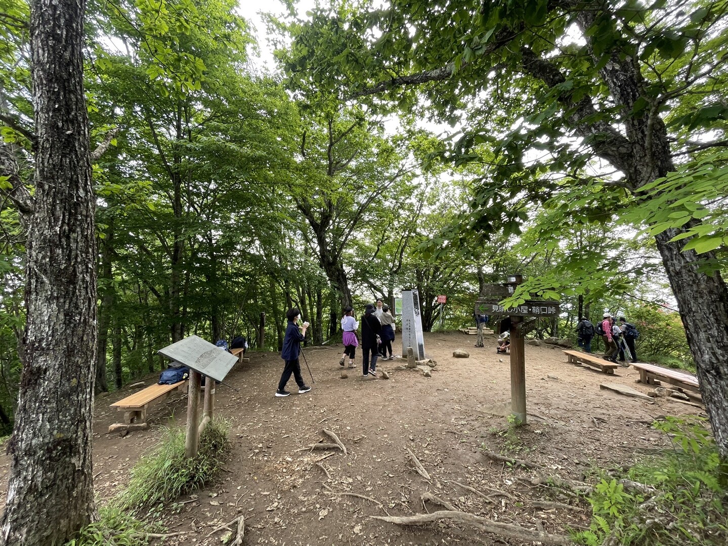 【熊に遭遇‼︎奥多摩縦走（後半）】都民の森〜三頭山〜御前山〜大岳山〜御嶽山〜日の出山〜武蔵五日市駅 三頭山・槇寄山・土俵岳の写真10枚目