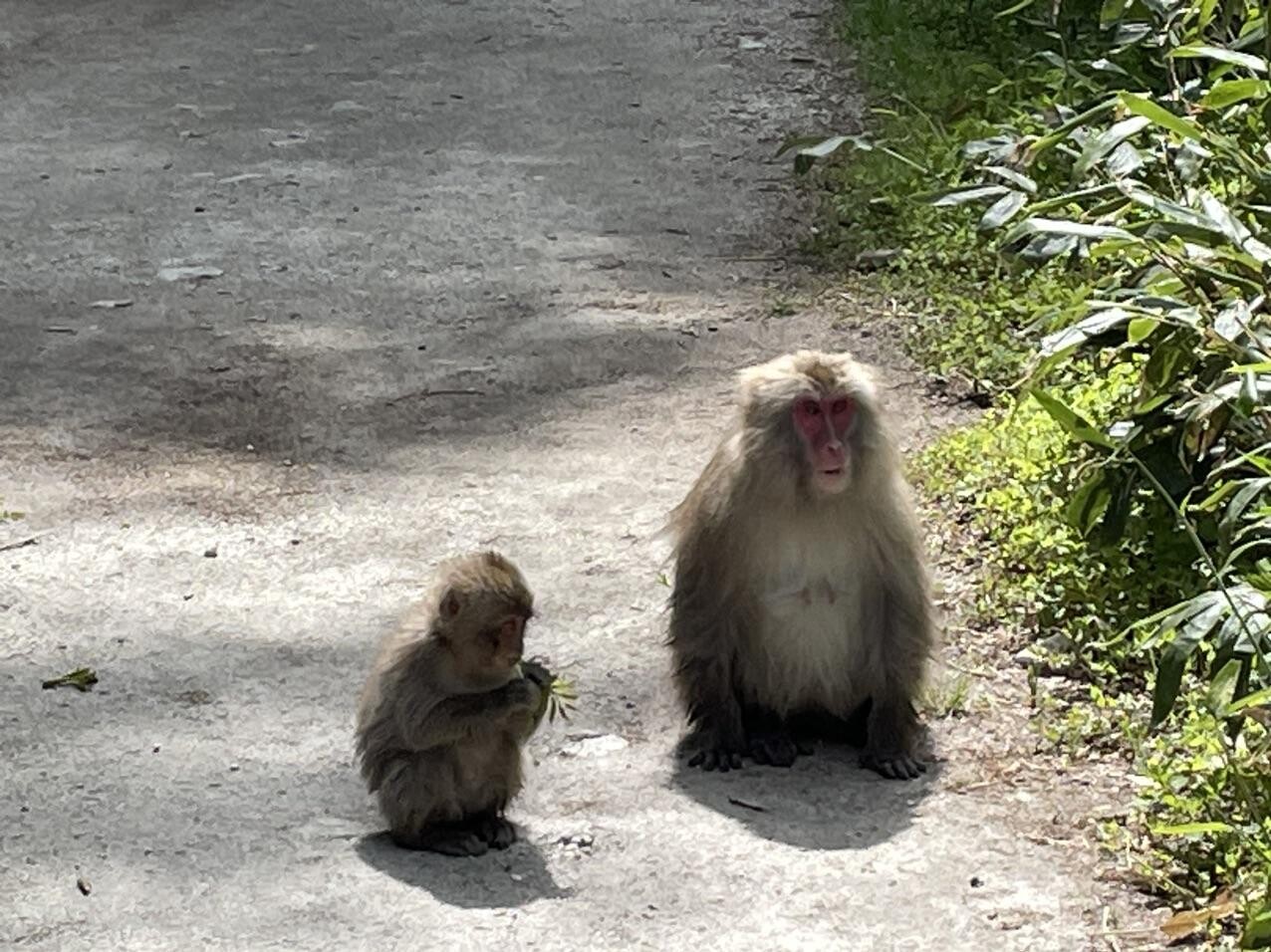 U K太郎のページ | YAMAP / ヤマップ