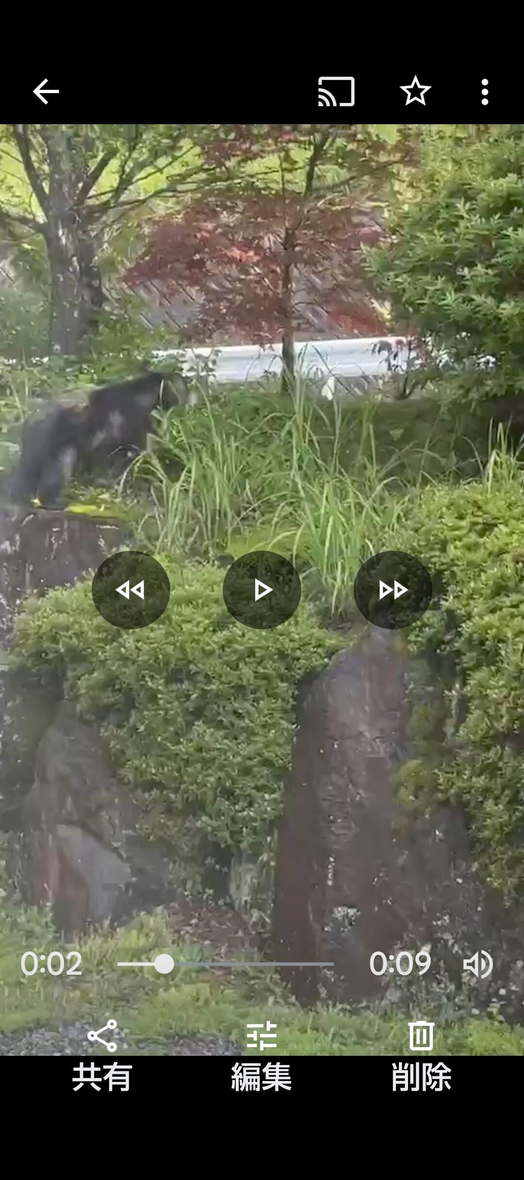 クマが出た ️ 根尾の、うすずみ温泉の... / ゆきだるま15さんのモーメント | YAMAP / ヤマップ