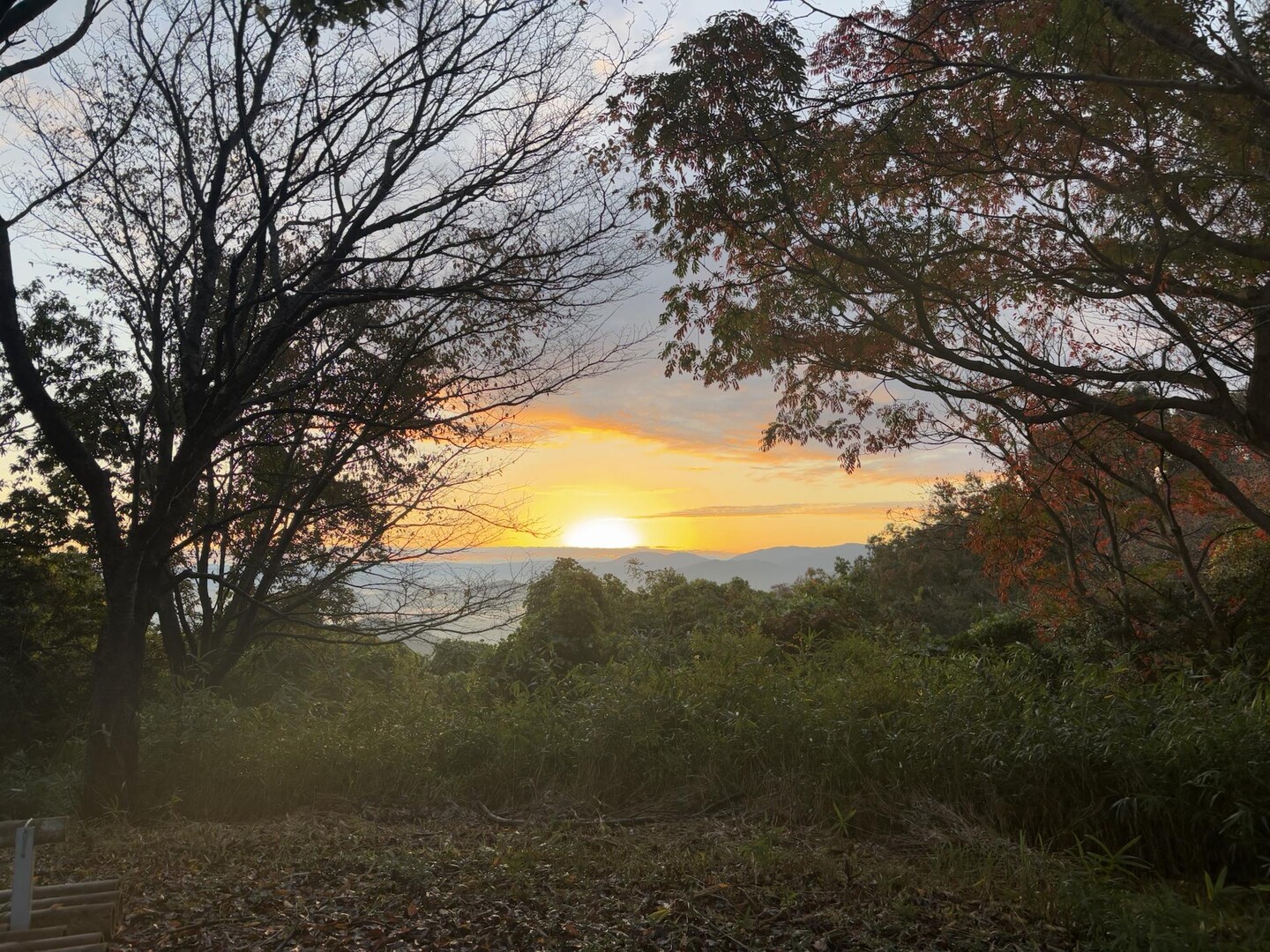 名草山 / Cookieさんの名草山の活動データ | YAMAP / ヤマップ