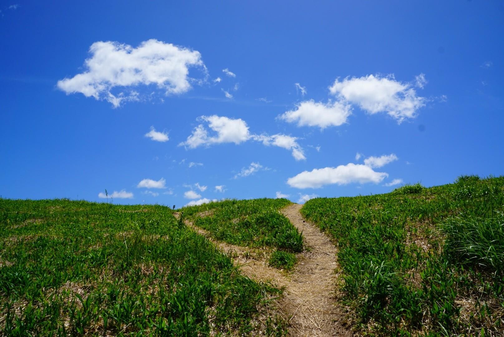 快晴の大和葛城山 / Zen Kooさんの葛城古道の活動データ | YAMAP / ヤマップ