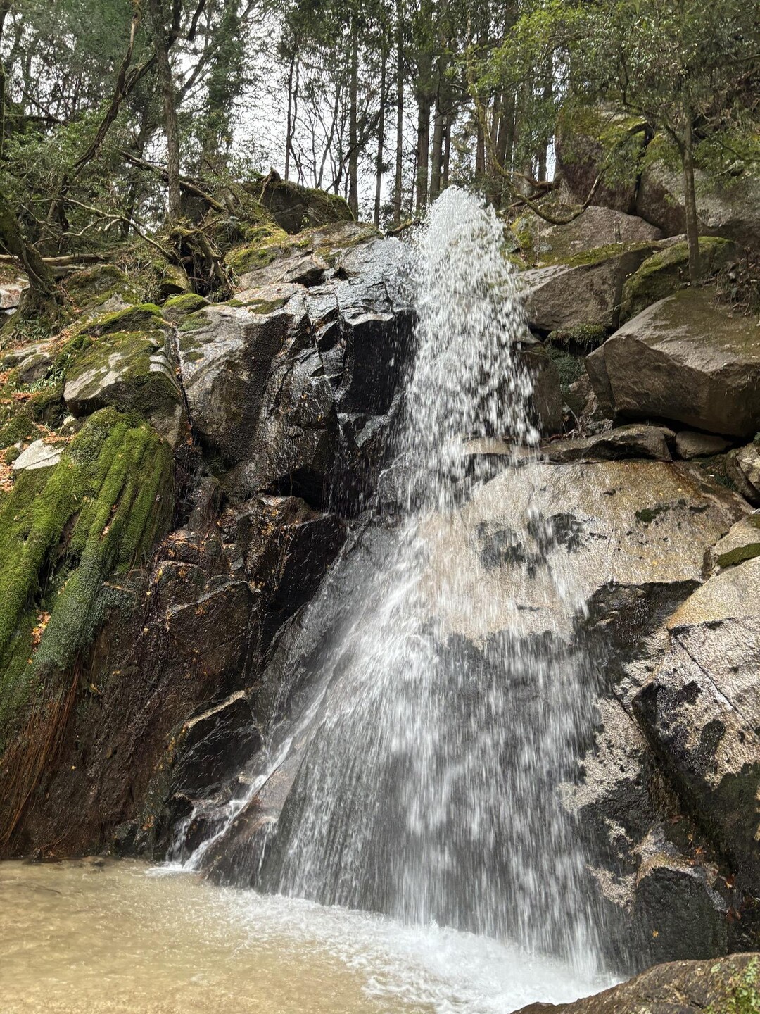 北屏風山・屏風山・八百山・馬の背山 / sho-zzzさんの屏風山の活動データ | YAMAP / ヤマップ