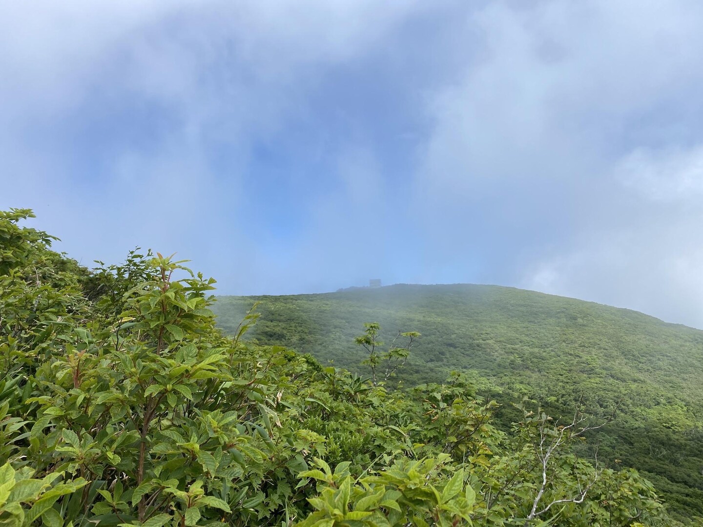 【船形山】梅雨明けぇ〜〜〜 / R_MAXさんのハイキングの活動データ | YAMAP / ヤマップ