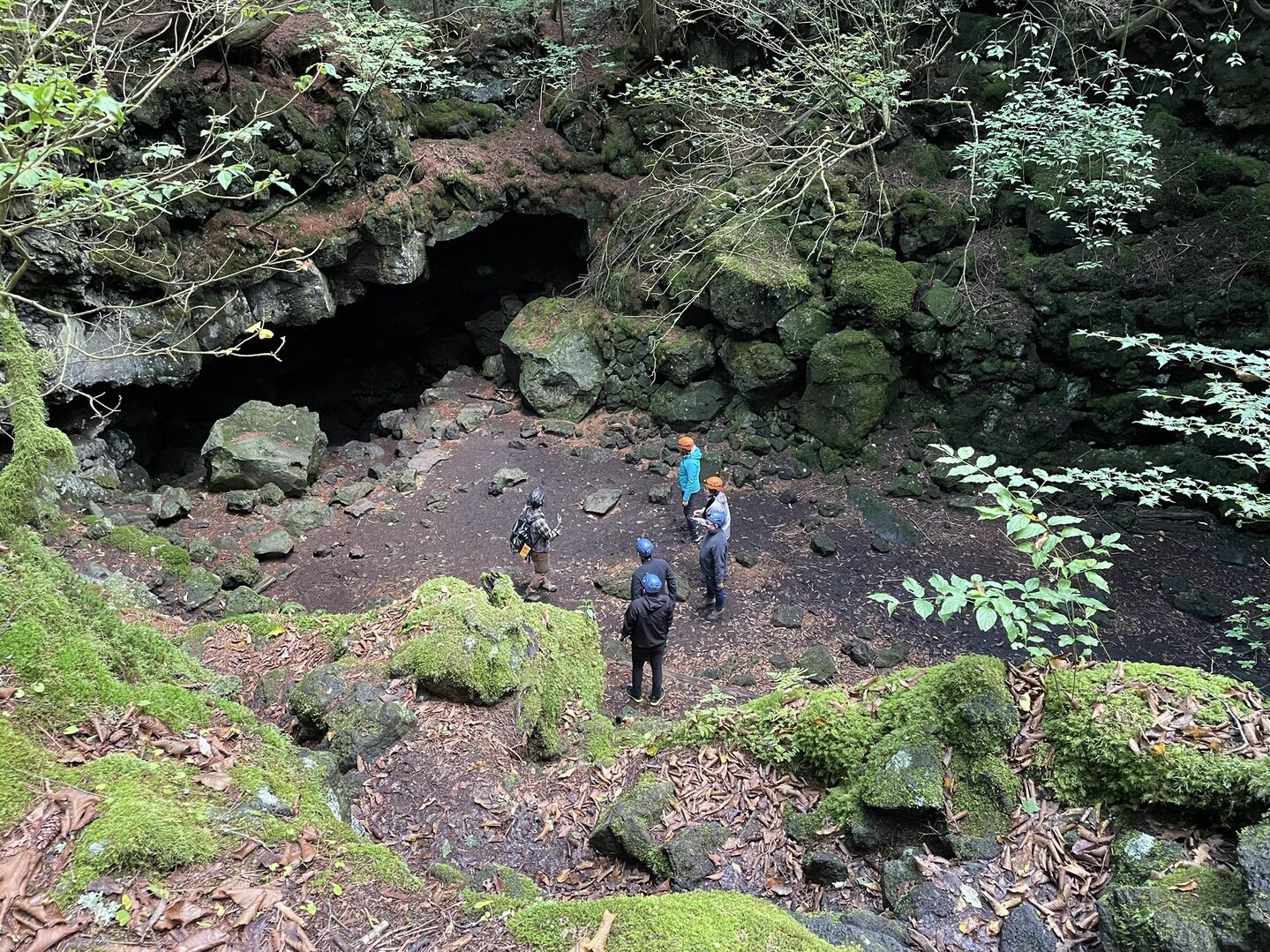 樹海散策（富士風穴・大室洞穴） / ♬dongoro♬さんの富士山の活動データ | YAMAP / ヤマップ