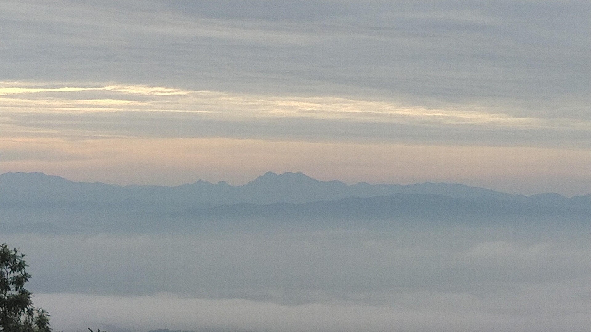 スキマ時間の裏山整備🔨 / りょう1970さんの龍王山・八木山の活動データ | YAMAP / ヤマップ