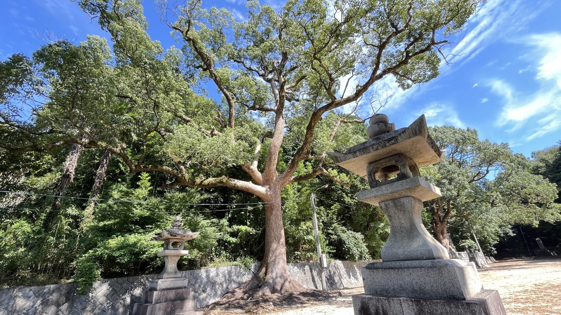 瓶山 / jan4422さんの飯塚市の活動データ | YAMAP / ヤマップ