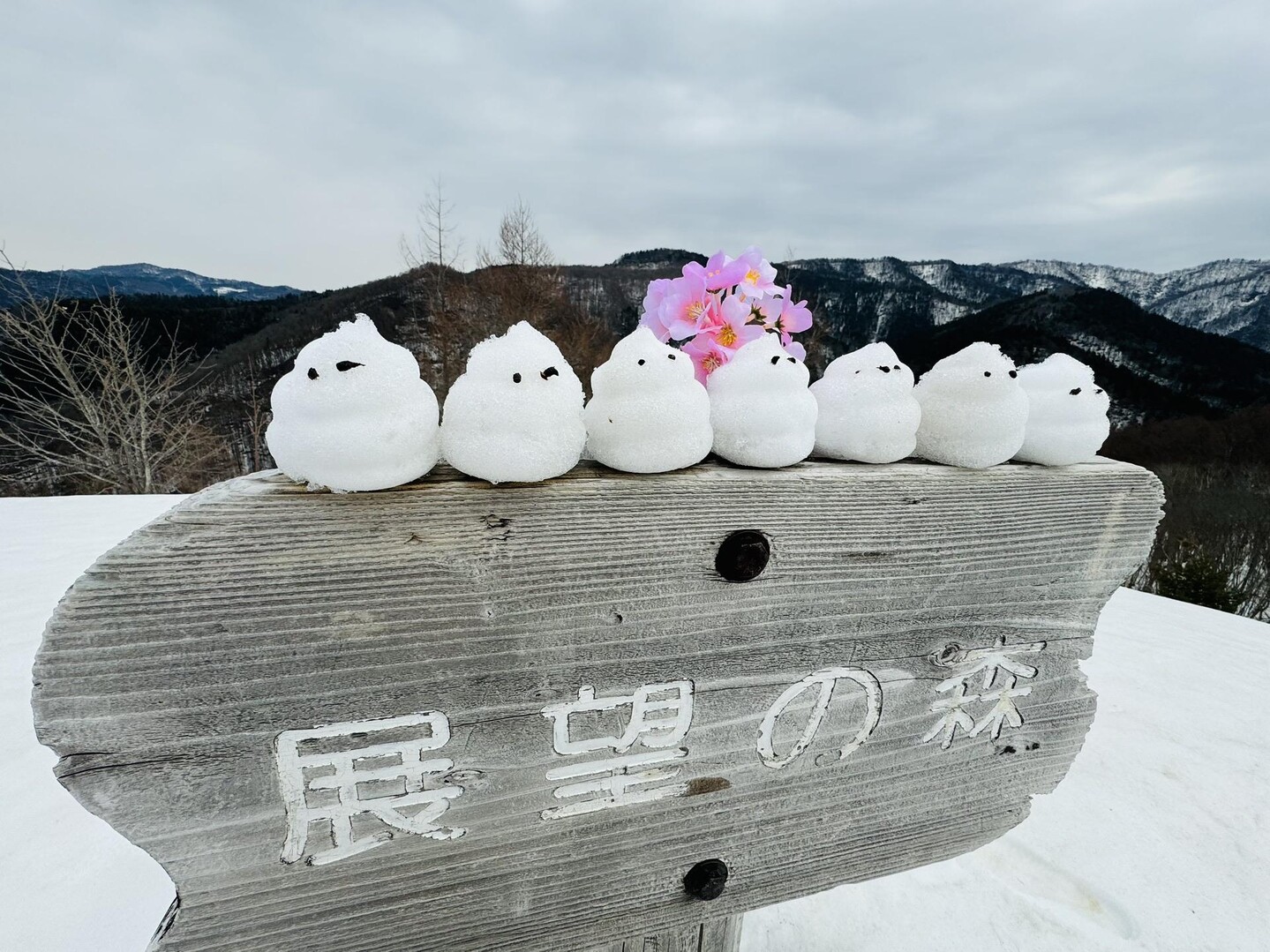 万字ズリ山⑨ ️シマエナガじゃなくて💩💩💩 / mii500さんの幌向岳・ズリ山の活動データ | YAMAP / ヤマップ