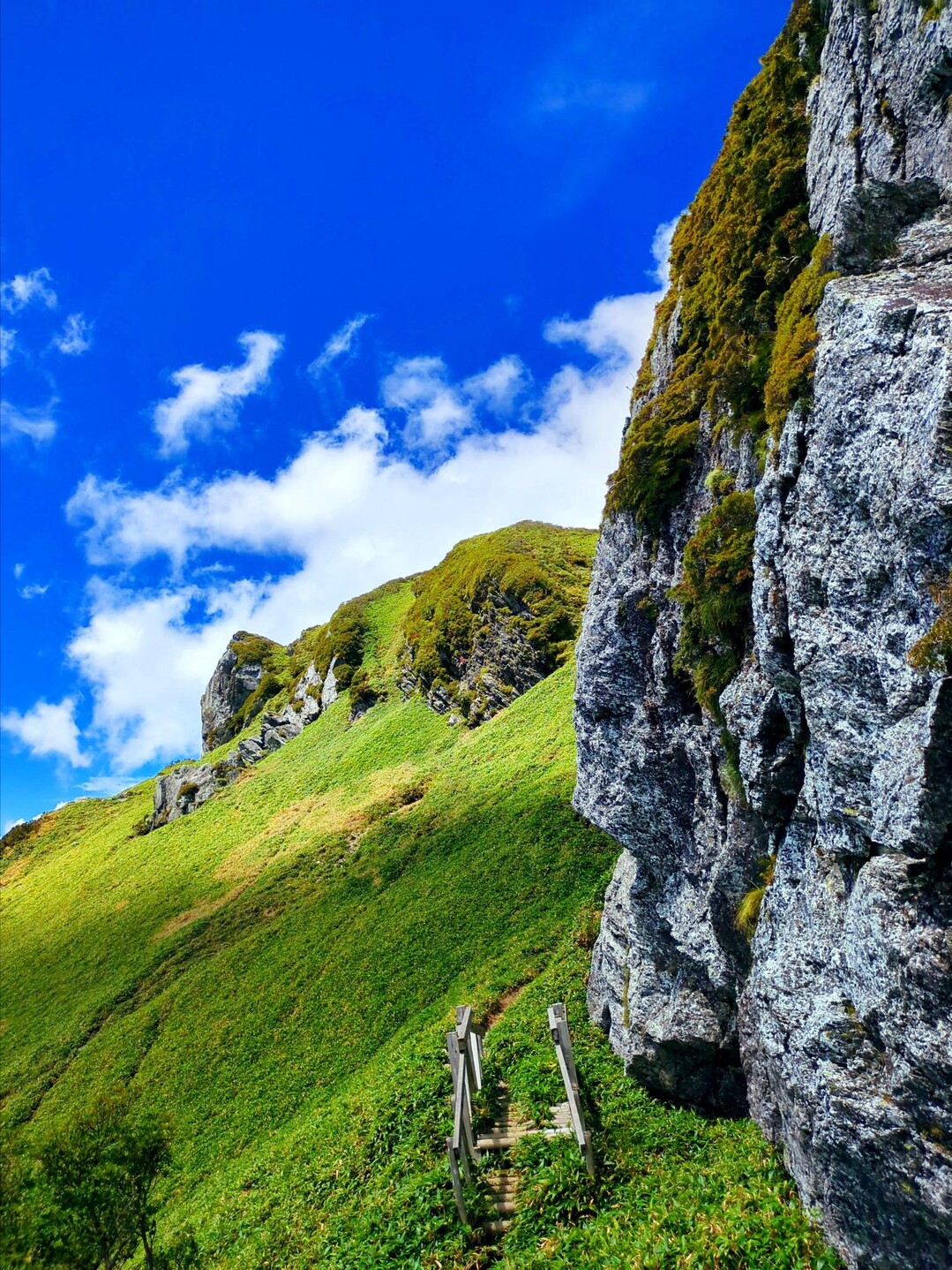 日曜日は三嶺さん♫まったりのんびりパーティー山行(о´∀`о) 2023.9.3(Sun.) / n.causuさんの三嶺・天狗塚・石立山の活動データ | YAMAP / ヤマップ