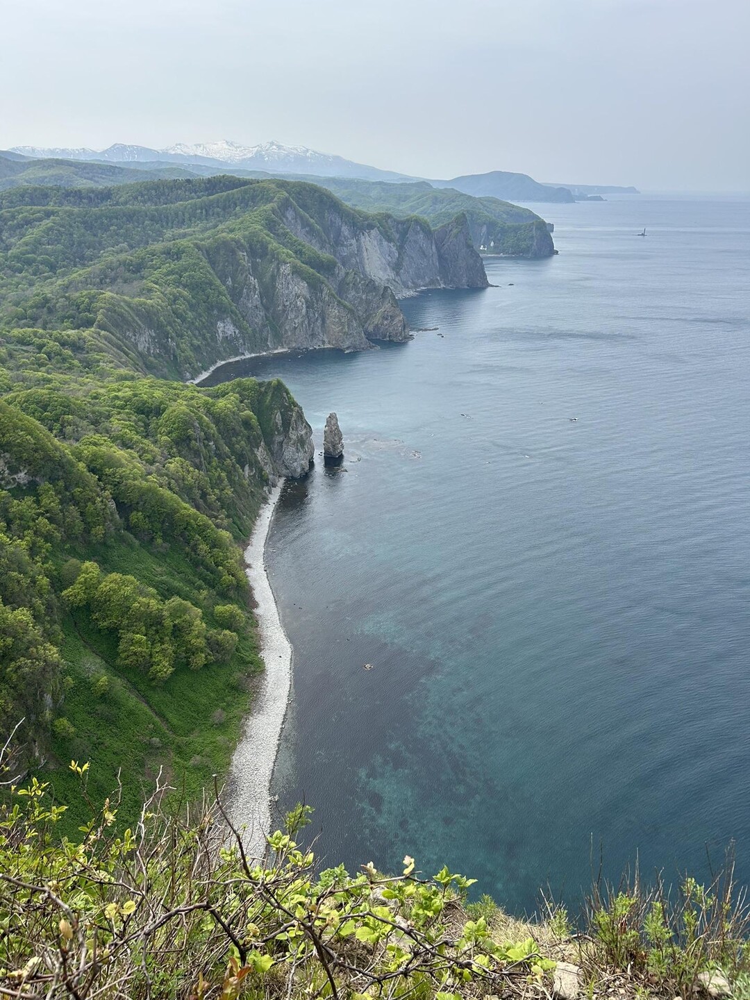 尻場山-1 / yuki_iroさんの尻場山の活動データ | YAMAP / ヤマップ