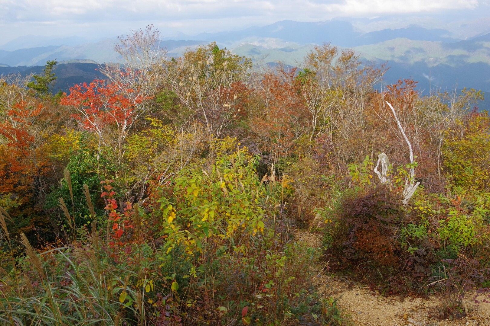 工石山へ、初心に帰る山歩き / でこぼこMamoさんの工石山の活動データ | YAMAP / ヤマップ