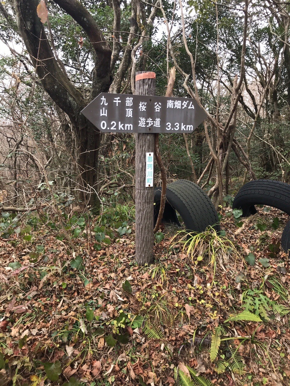 みーちんさんの投稿したフィールドメモ | YAMAP / ヤマップ