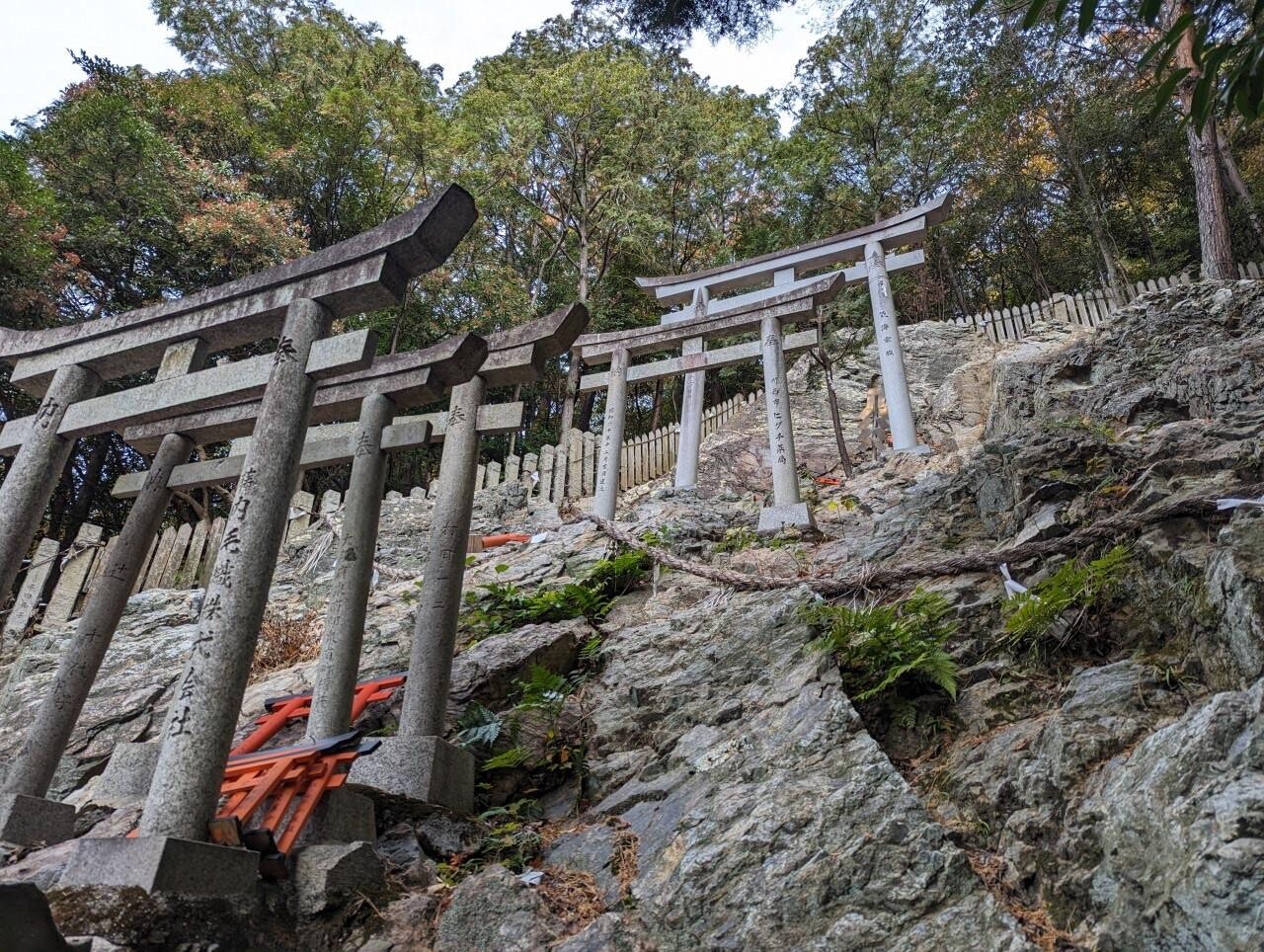 Stevenさんの投稿したフィールドメモ | YAMAP / ヤマップ