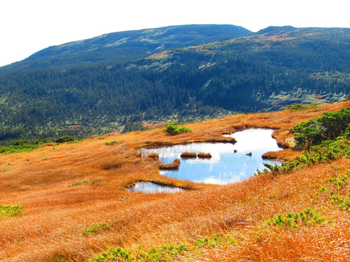 西吾妻散策 / y_kumataさんの吾妻山・一切経山の活動データ | YAMAP / ヤマップ